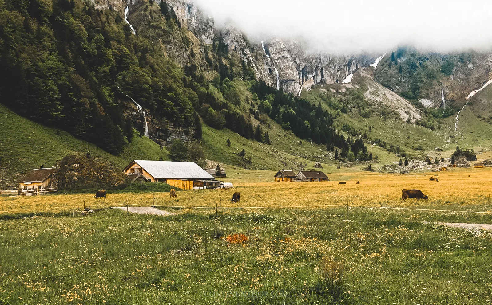 Switzerland in Spring : Info and The Best Places to see in Spring in ...