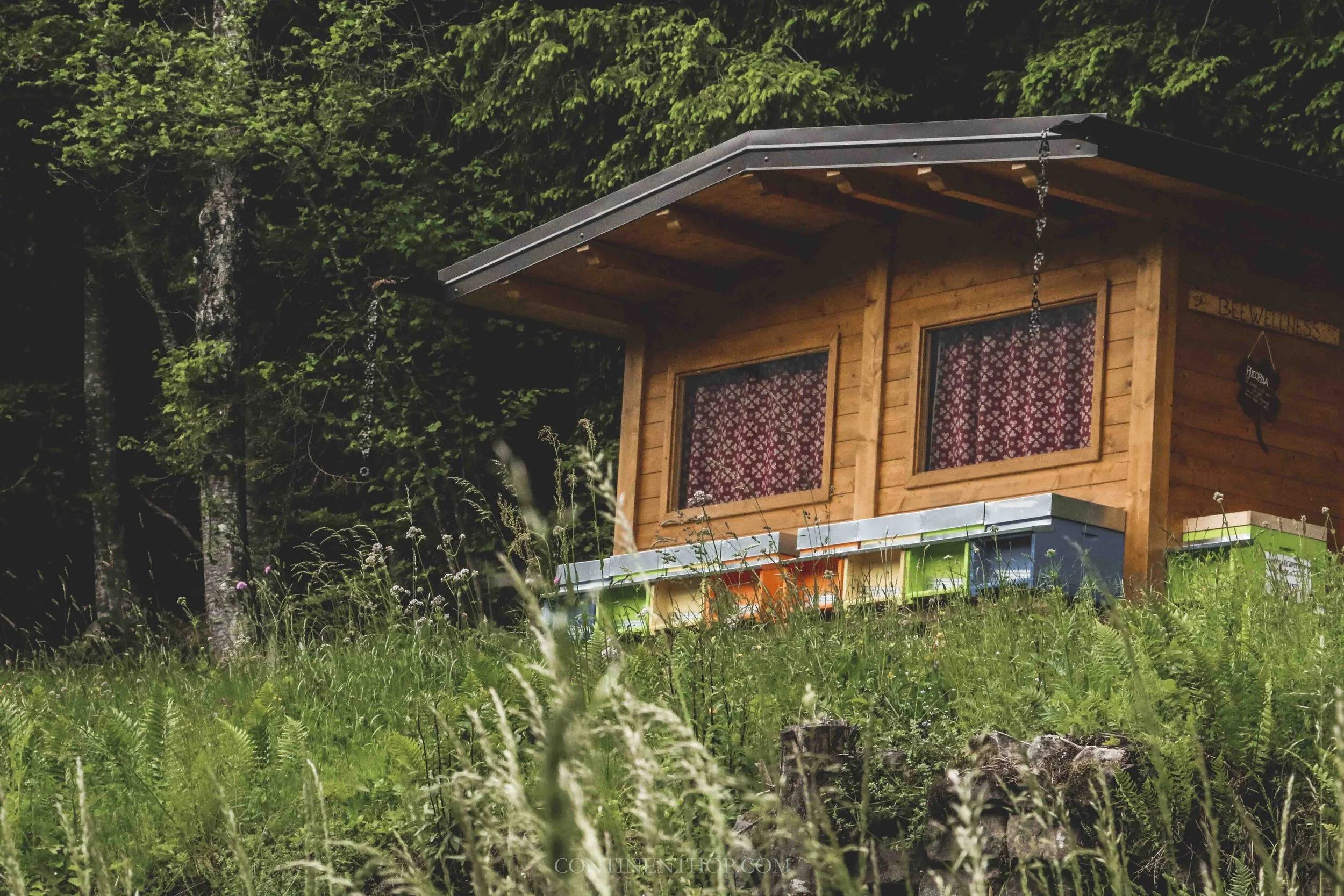 Valle Di Cembra, Trentino (2023) A Hidden Getaway for Eco-friendly Fun ...