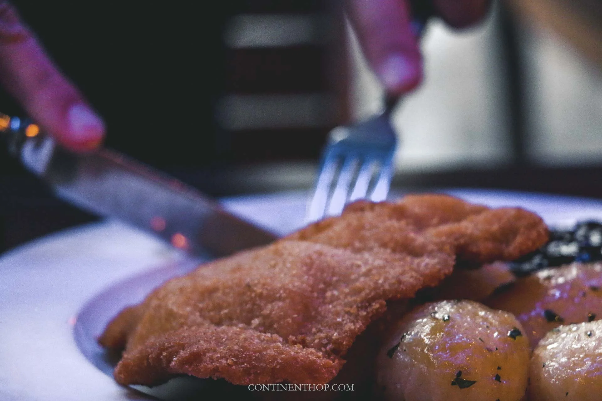 Traditional Austrian food and products — Continent Hop