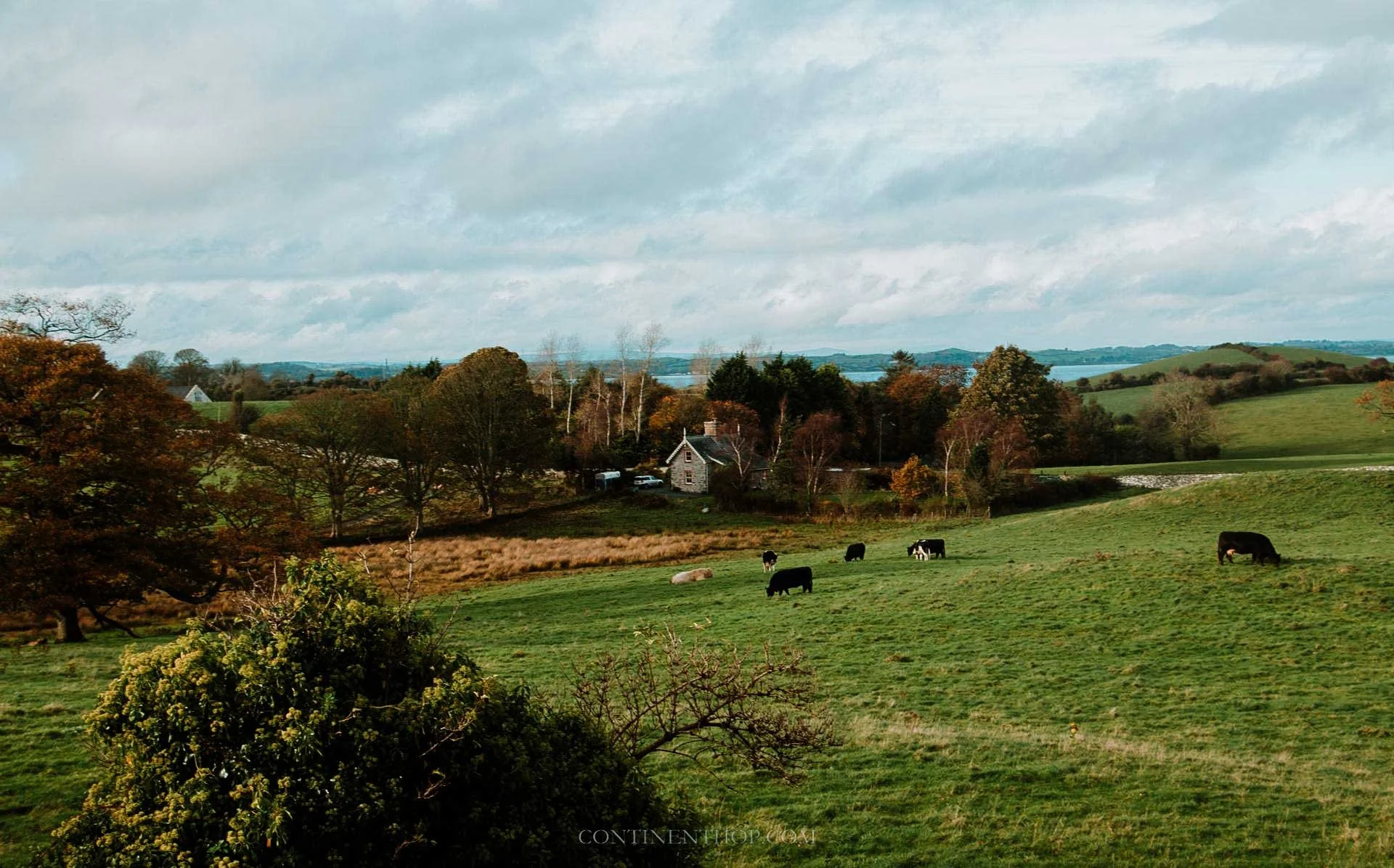 Ireland in Spring : A Travel Guide for the Best Things to do in Ireland ...