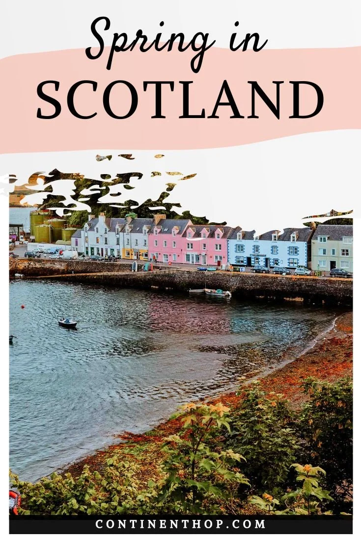 Scotland in Spring (2023) | Top Regions to Visit When its Spring in ...