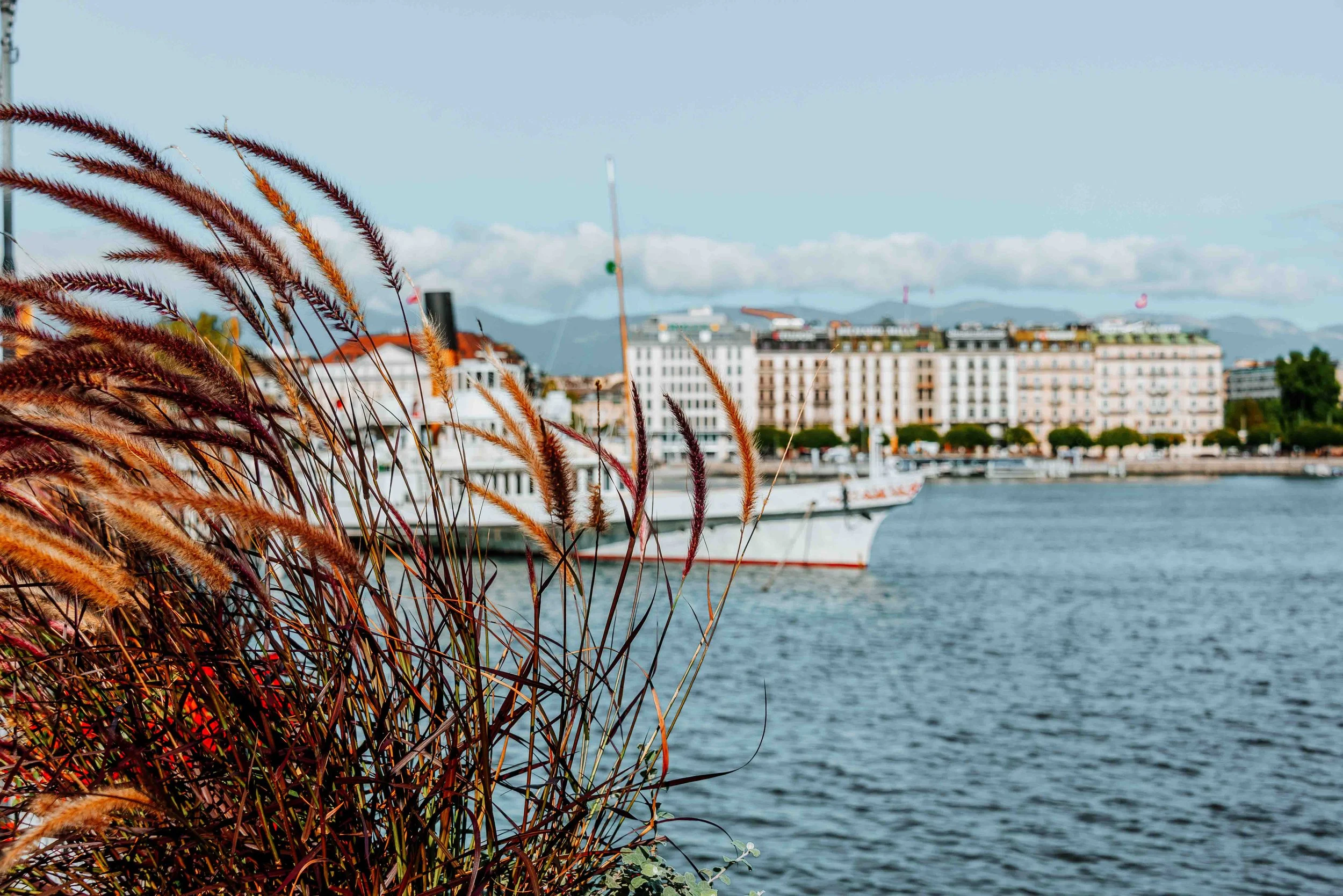 Lucerne in Winter (2023) | Fab Things to do in Lucerne in Winter ...