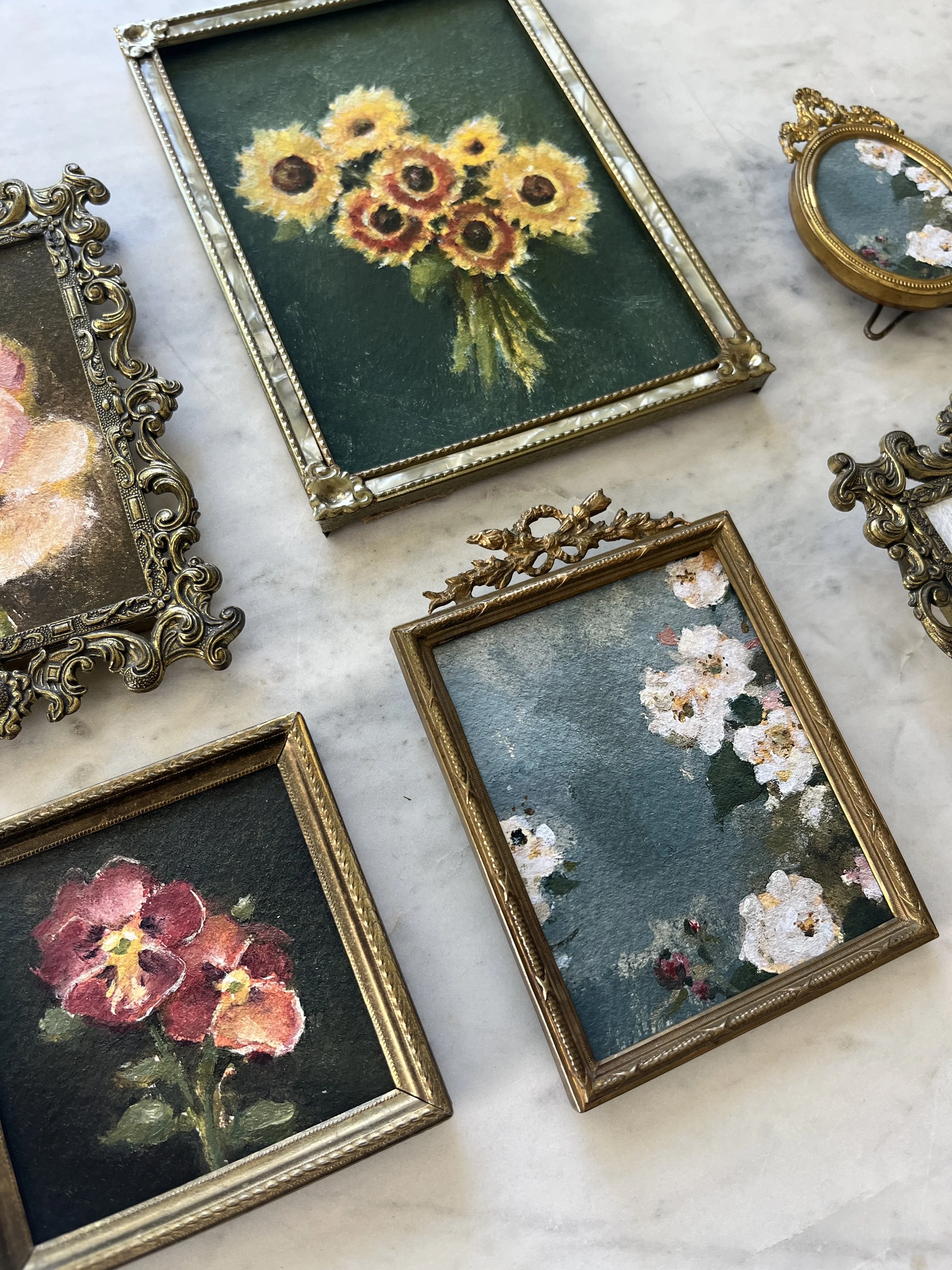 Alicia Cook Fine Art
