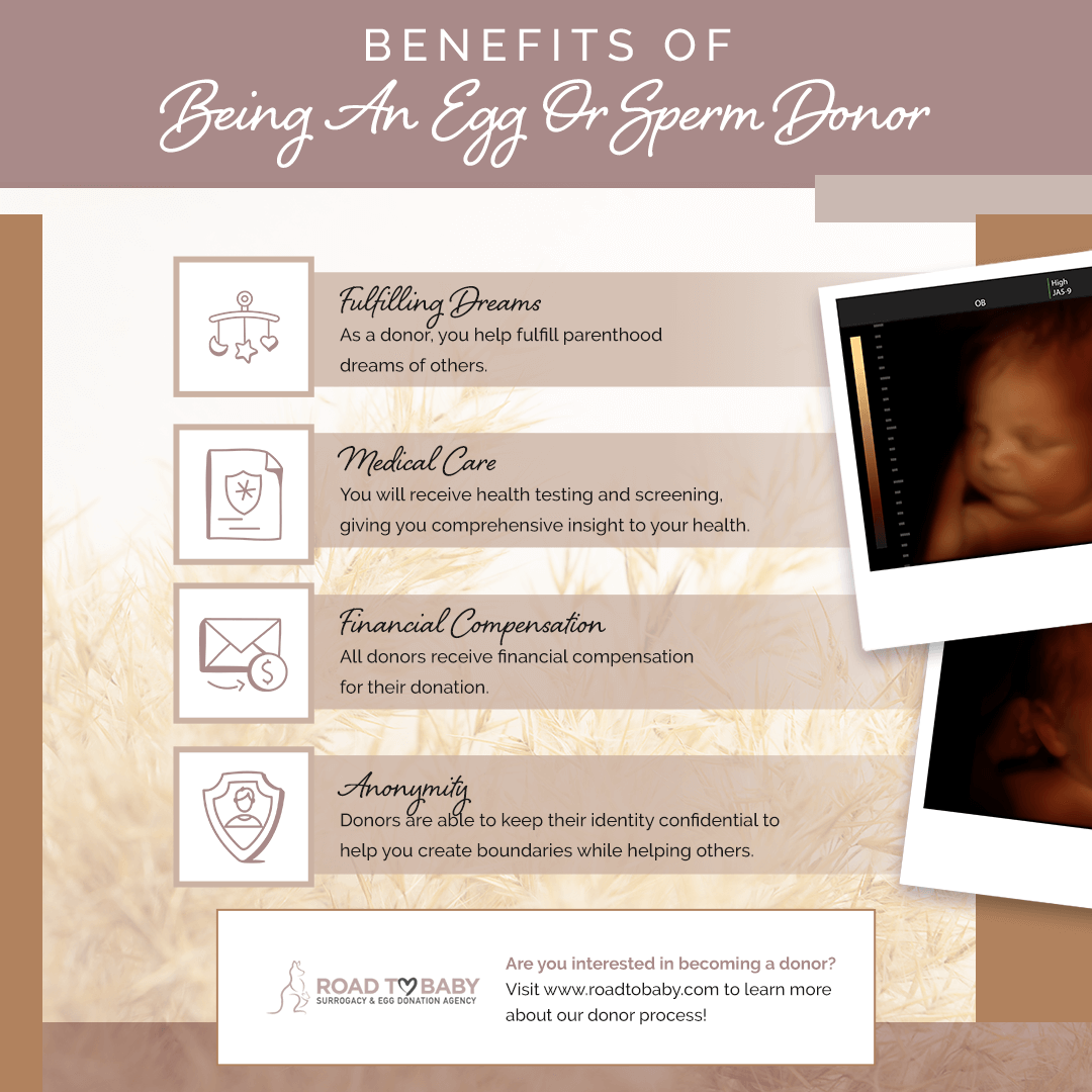 Benefits Of Egg And Sperm Donations — Learn More — Road To Baby LLC