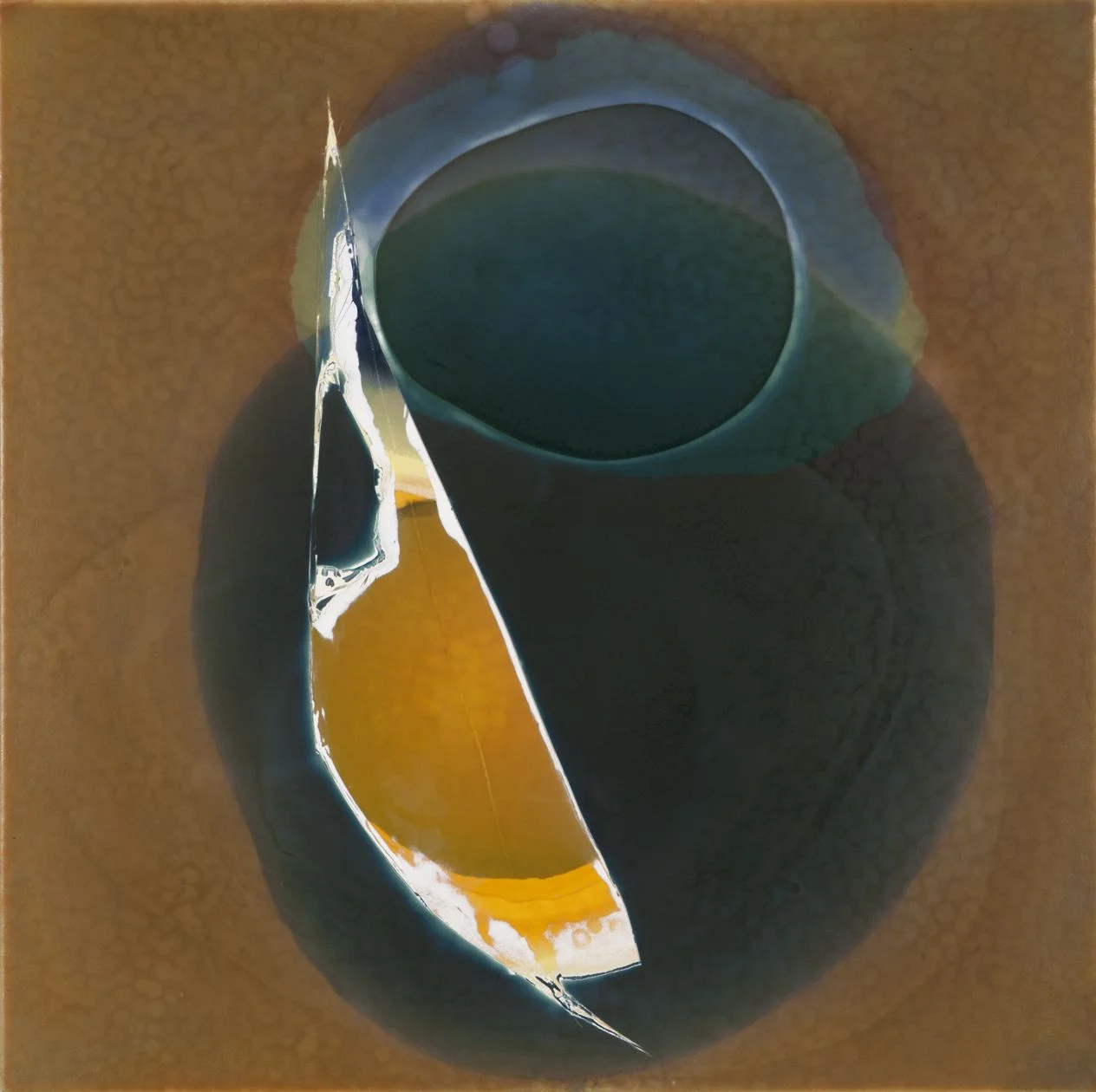 Lynn McCarty — Nancy Hoffman Gallery