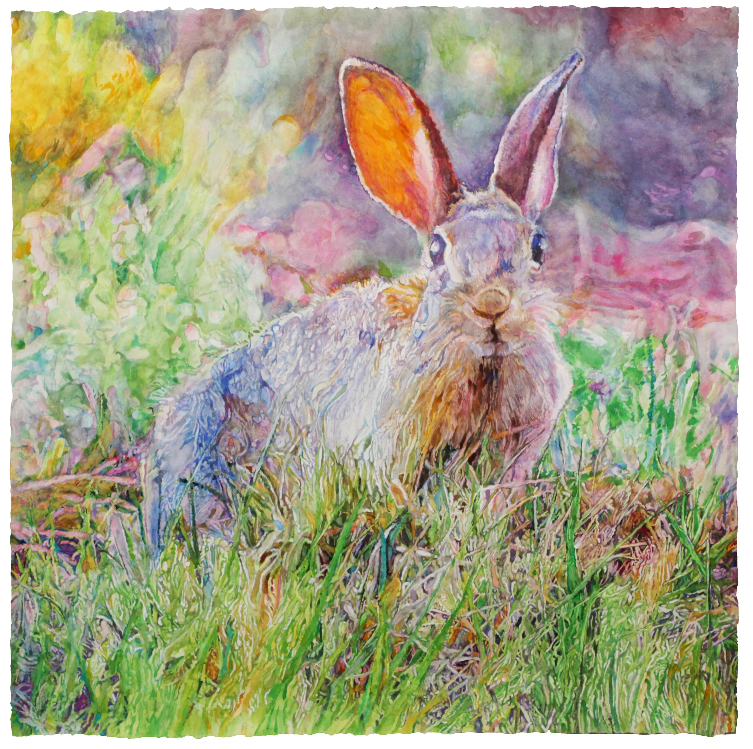 Joseph Raffael — Nancy Hoffman Gallery