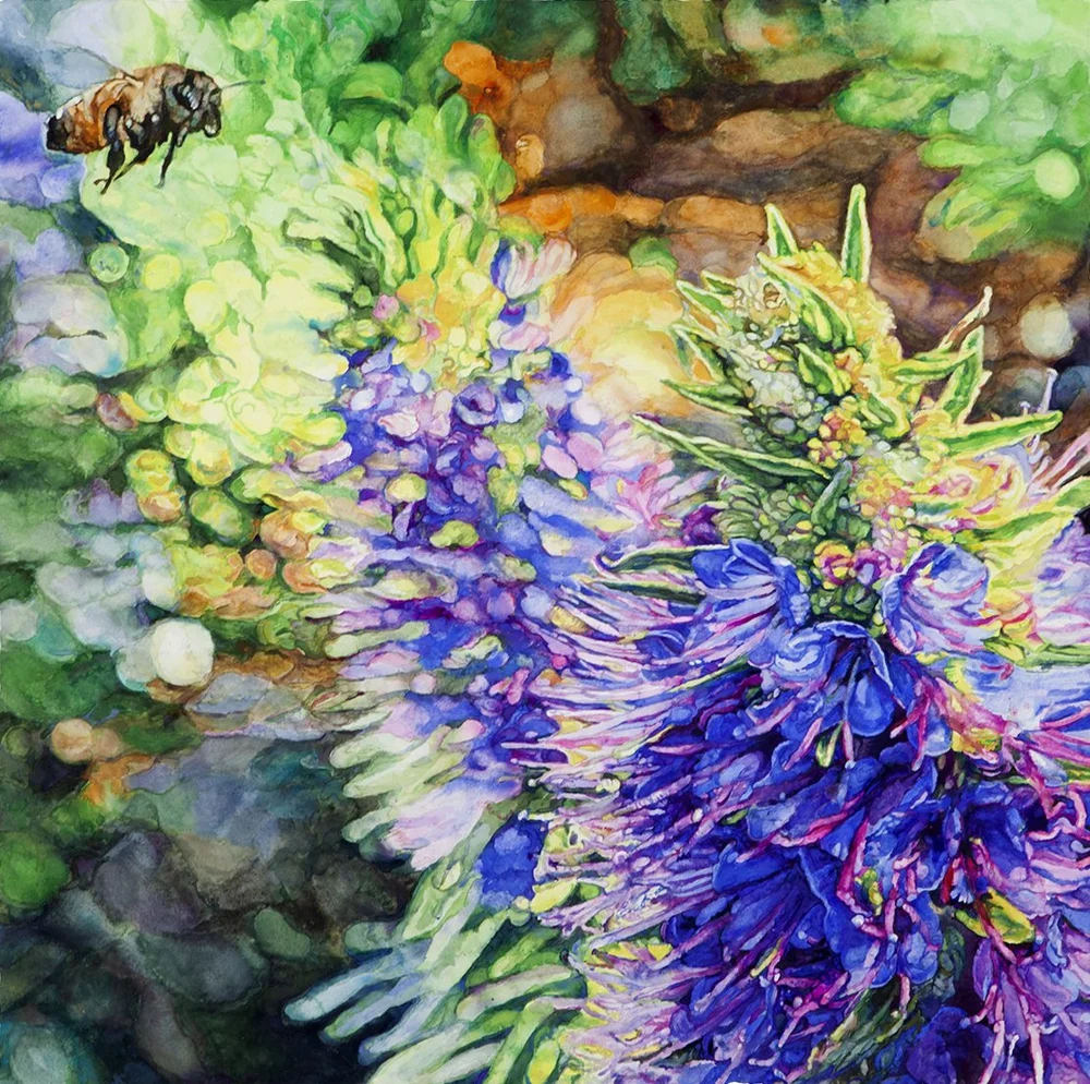 Joseph Raffael — Nancy Hoffman Gallery