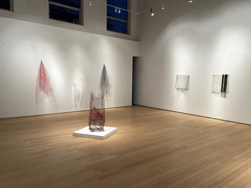 Nancy Koenigsberg 2024 Exhibition — Nancy Hoffman Gallery