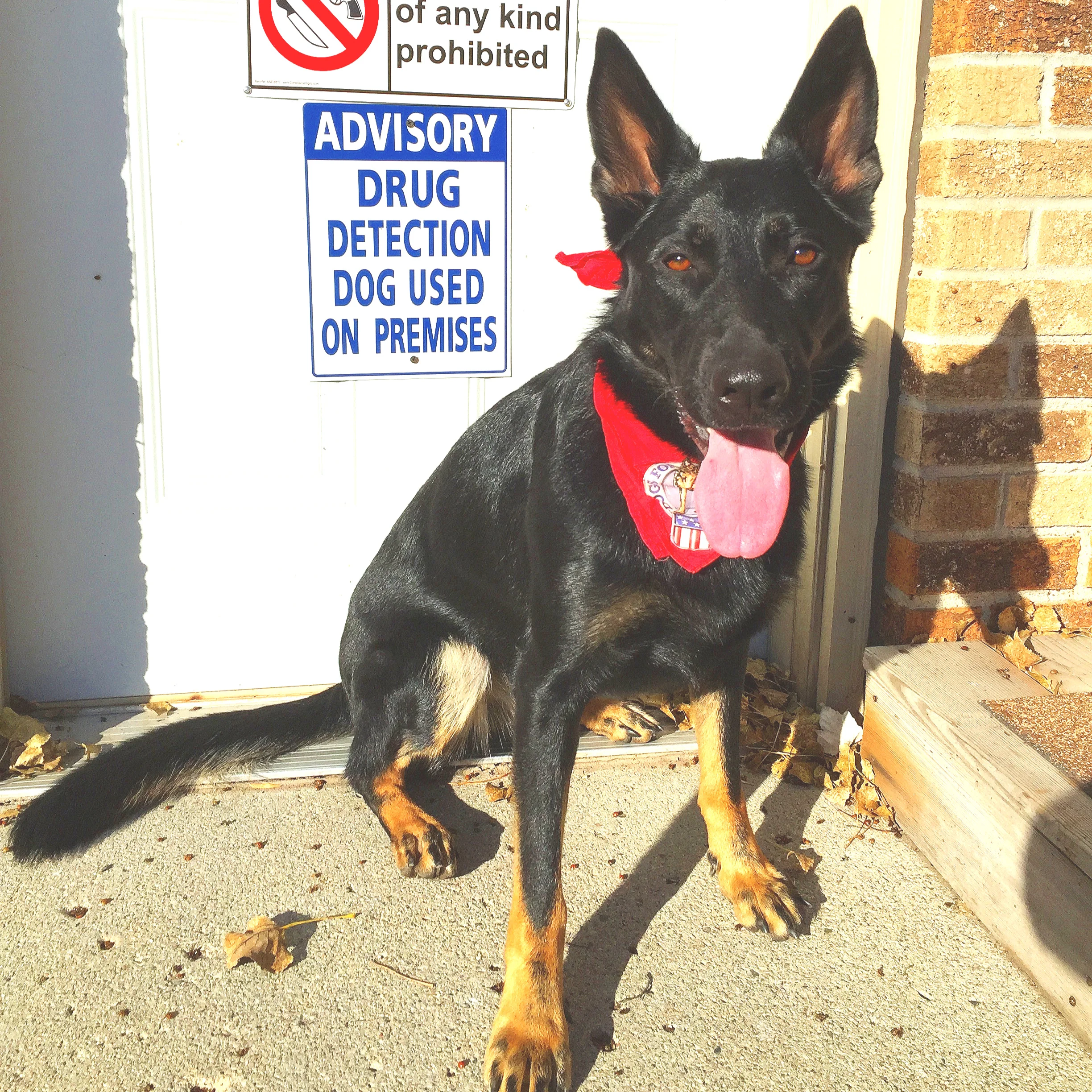 Dogs for Defense Inc.