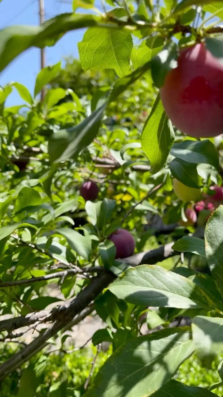 An Ocean Inspired Cake for Earth Day — Clean Made Bakes – Modern Gluten ...