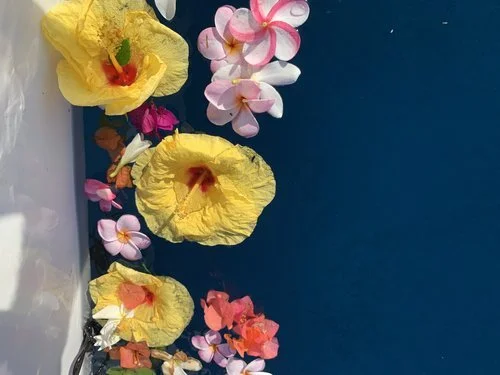 Ash Scattering Ceremonies in Maui | Maui Burial at Sea — Blue Soul Maui