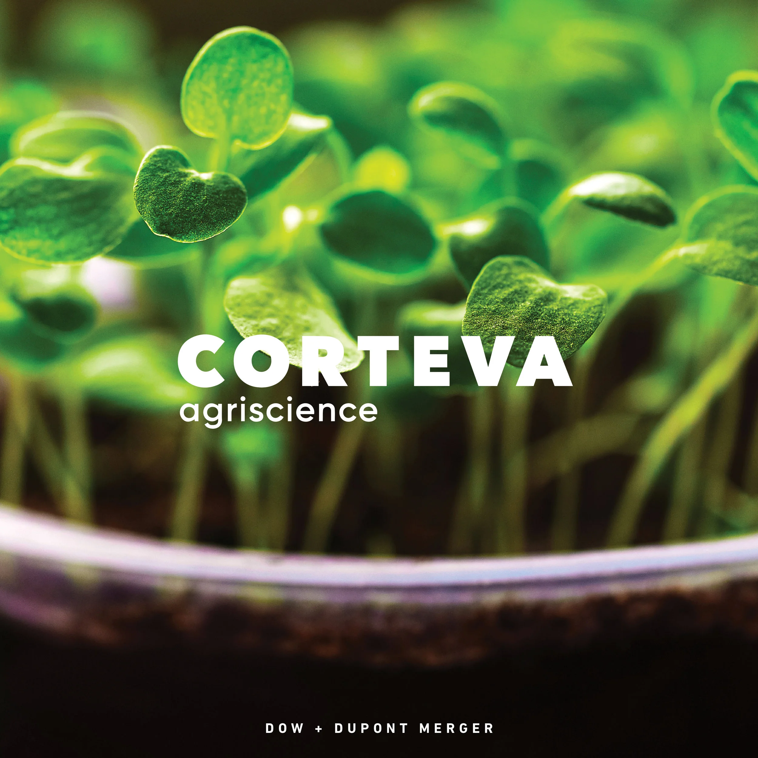 Lexicon Named Corteva Agriscience Wins Manufacturing Award — Lexicon ...