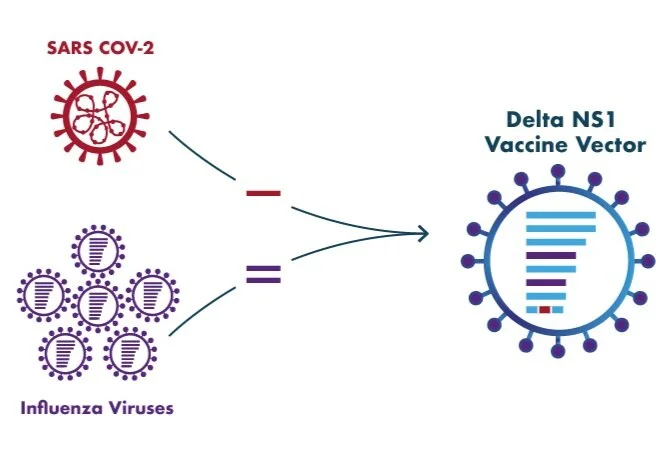 Delta-19, a SARS-CoV-2 (Covid-19) & Universal Influenza Combination ...