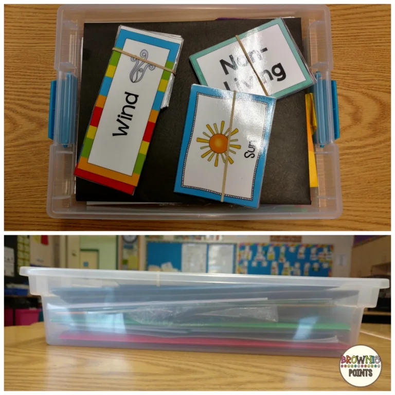 From Overstuffed to Organized: Tips for Managing Hoards of Worksheets ...