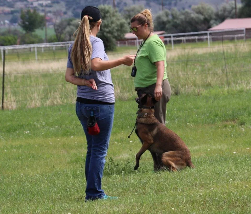 Training — Prana Dog Training & Behavior Modification