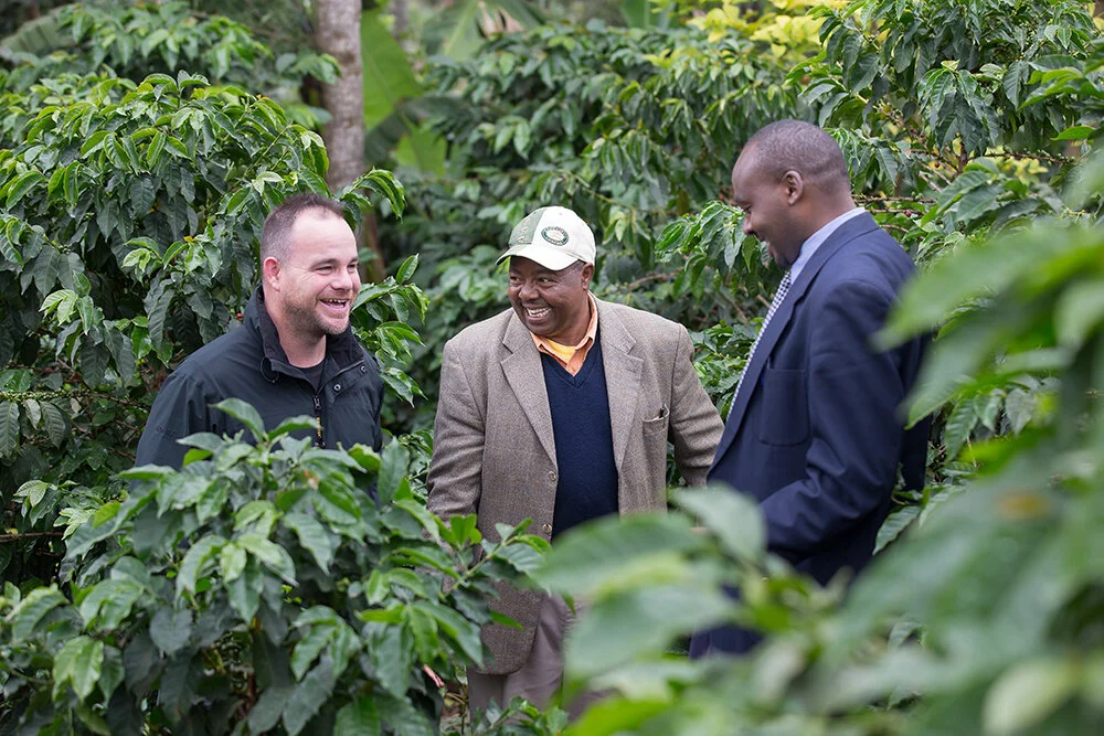 Java Gold — Zarraffa's Coffee