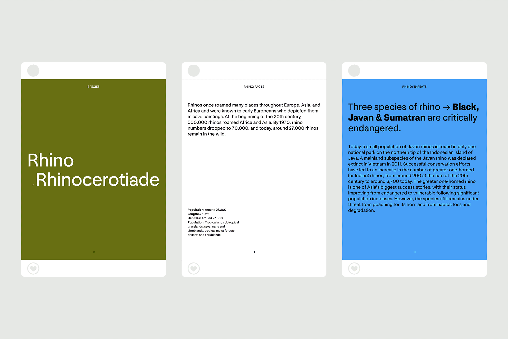 WWF Market Brand Identity — Reflect Studio