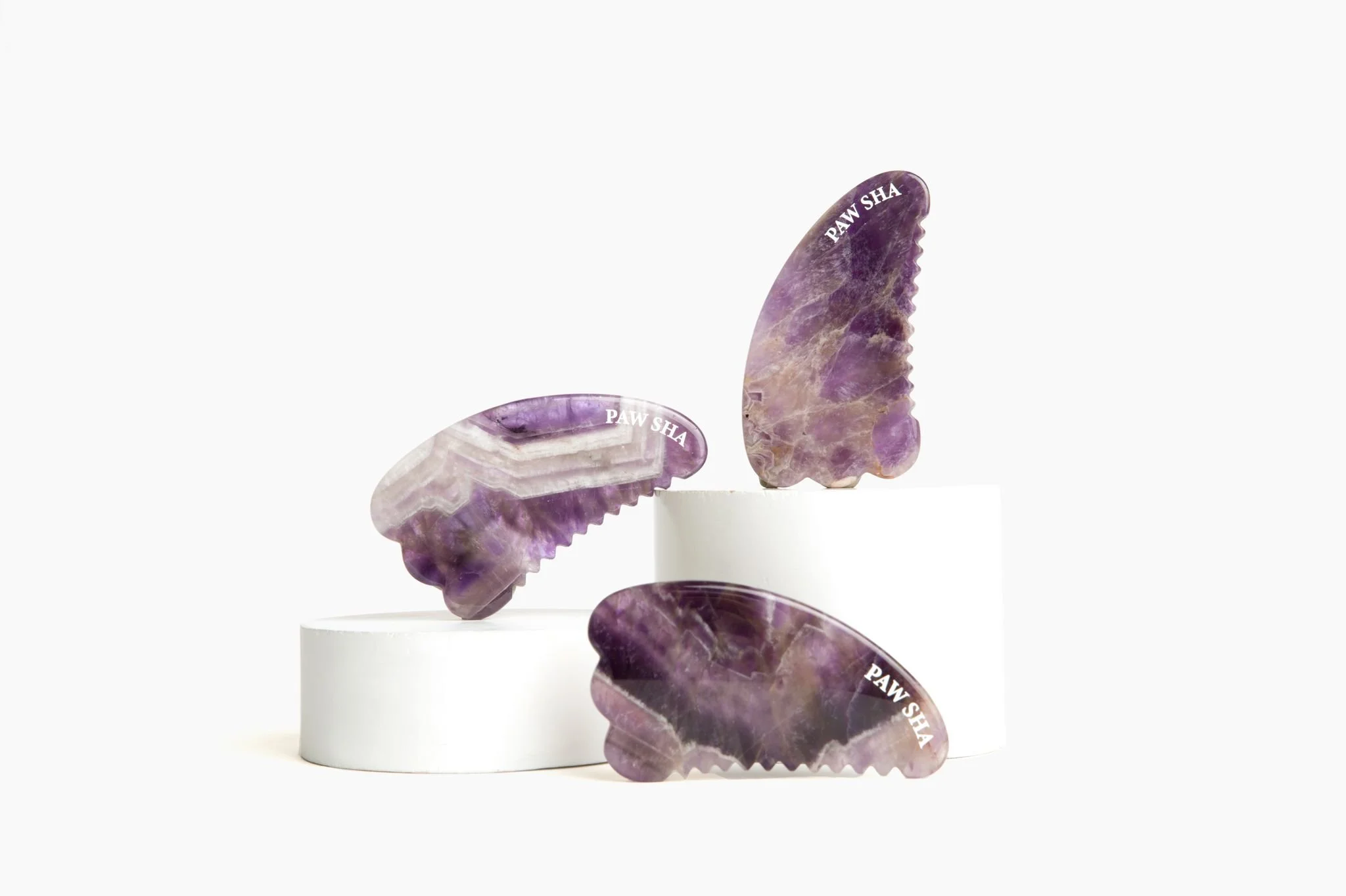 PAW SHA — Balanced Pet Vet