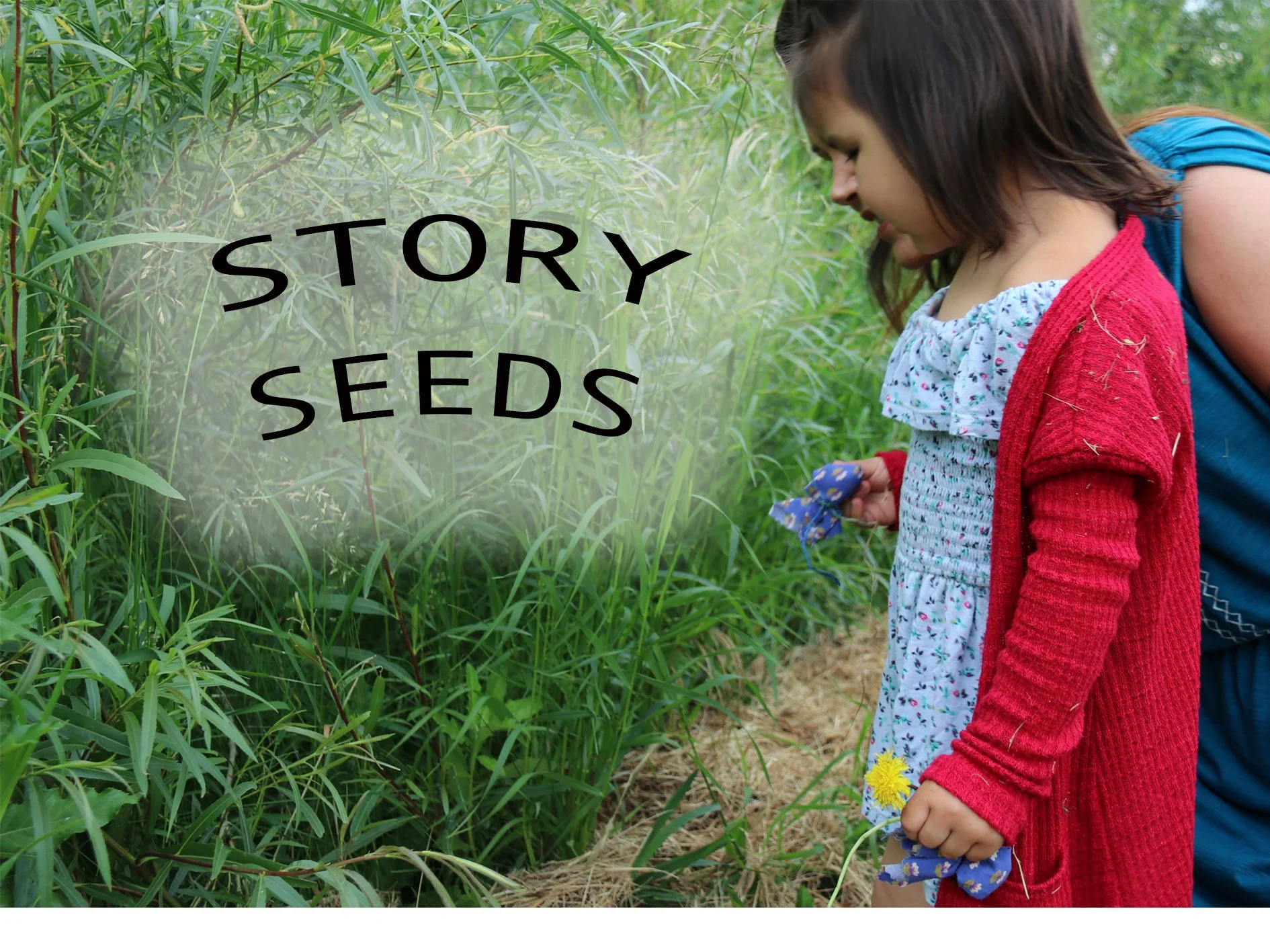 Story Seeds: Cultivating Wellness and Depth through Indigenous Plant ...