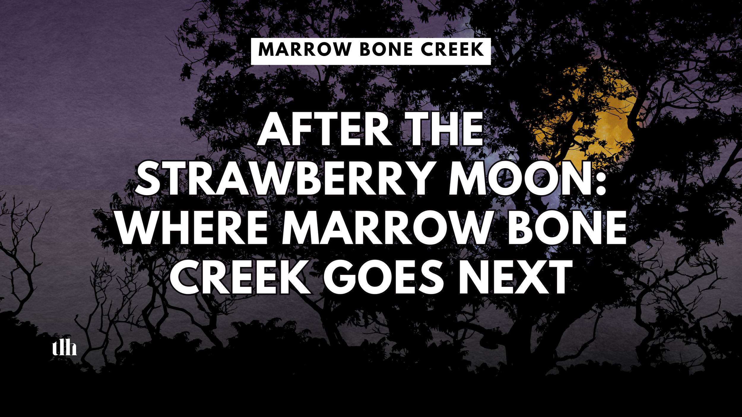 After the Strawberry Moon: Where Marrow Bone Creek Goes Next — Tasha L ...