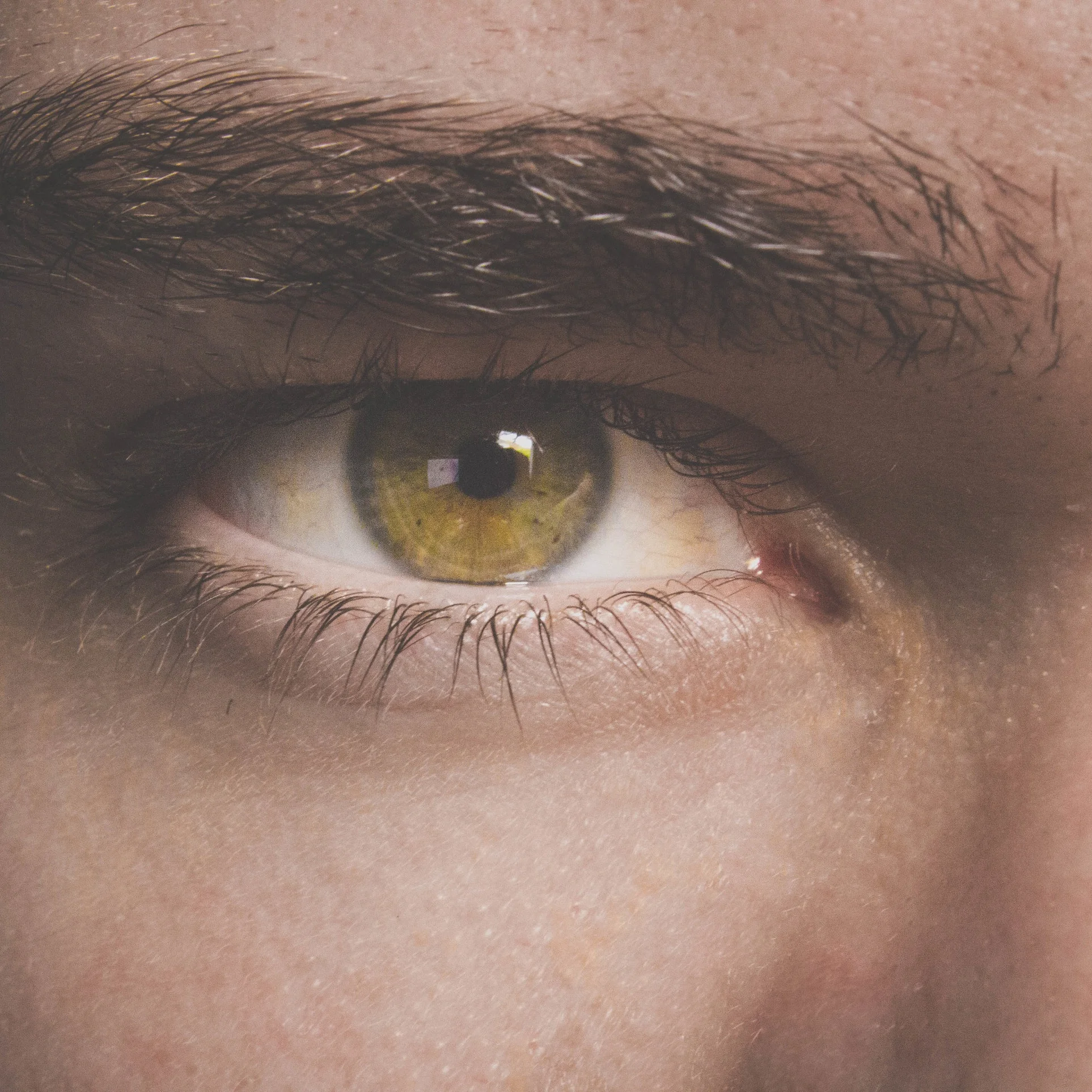 Optical — Eye Physicians & Surgeons