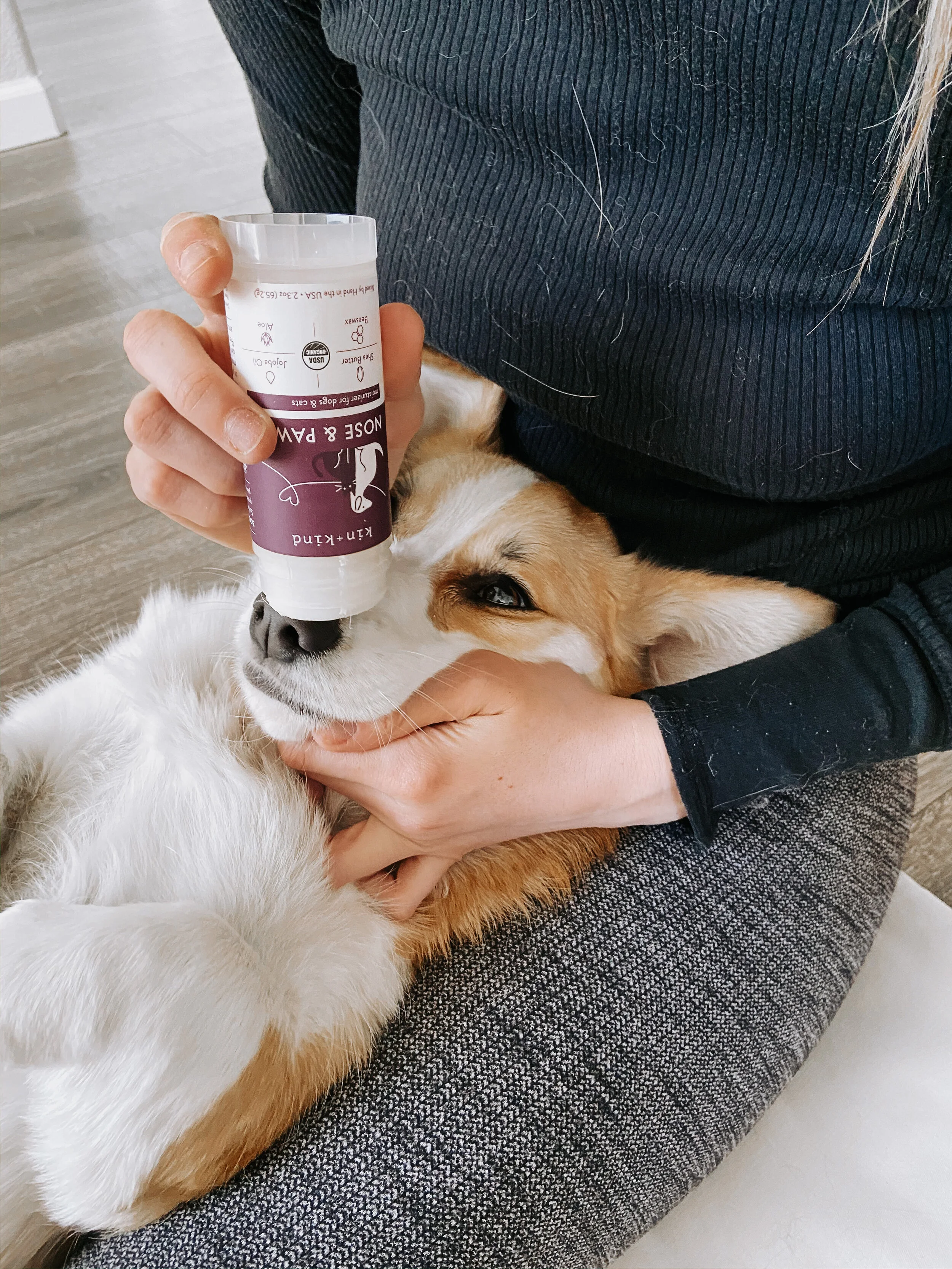 How To Groom Your Corgi Yourself at Home — Willo the Corgi