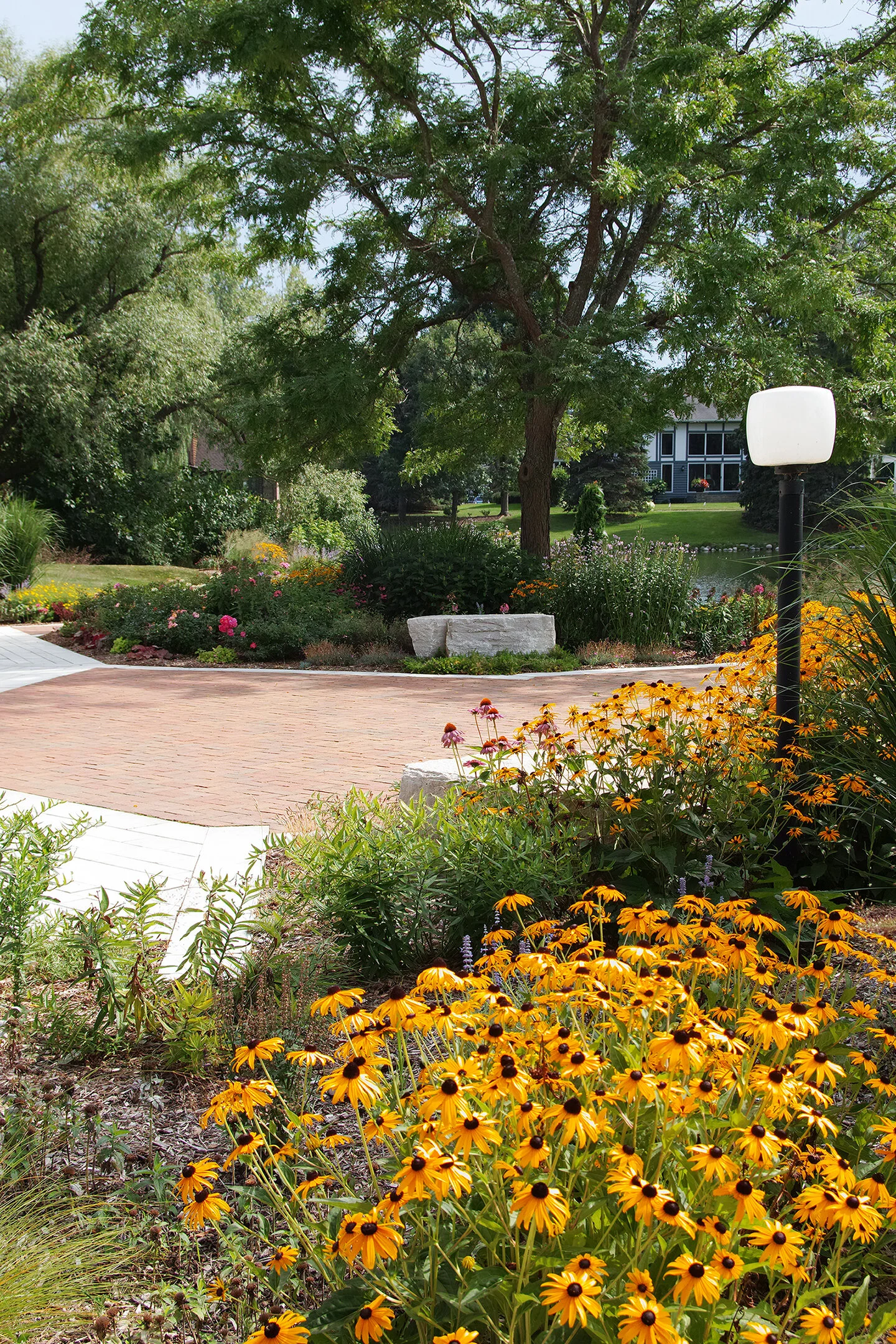 Lakeside Landscape — Dameron Architecture