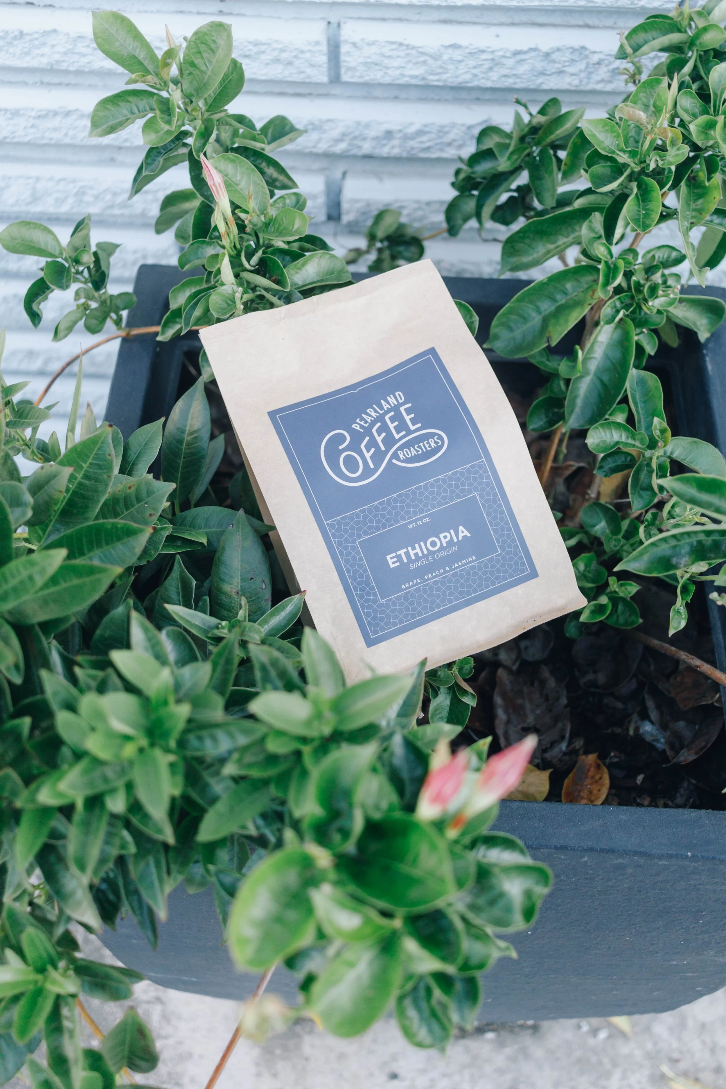 Pearland Coffee Roasters