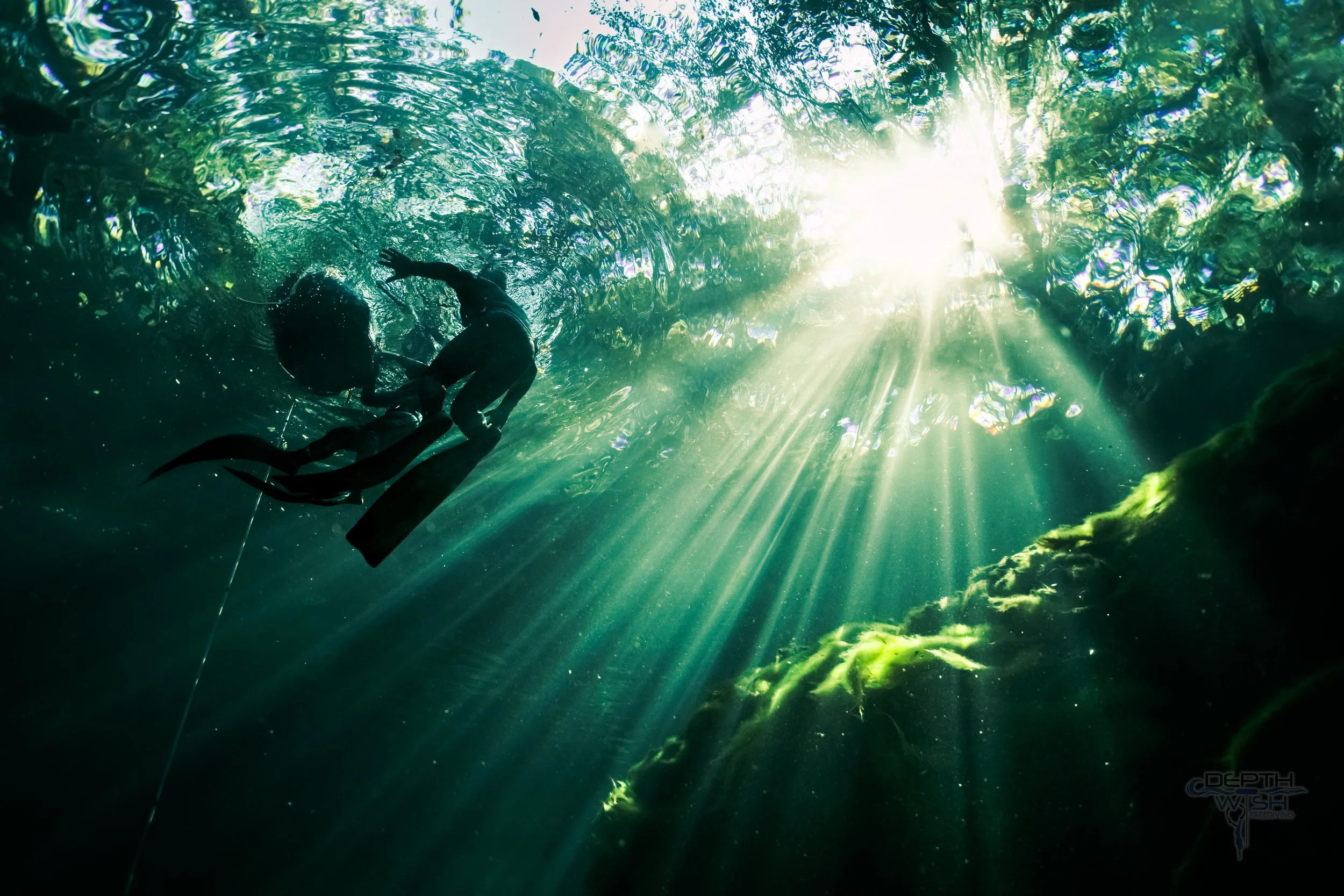 PADI Level 1: Freediver — Depth Wish Freediving