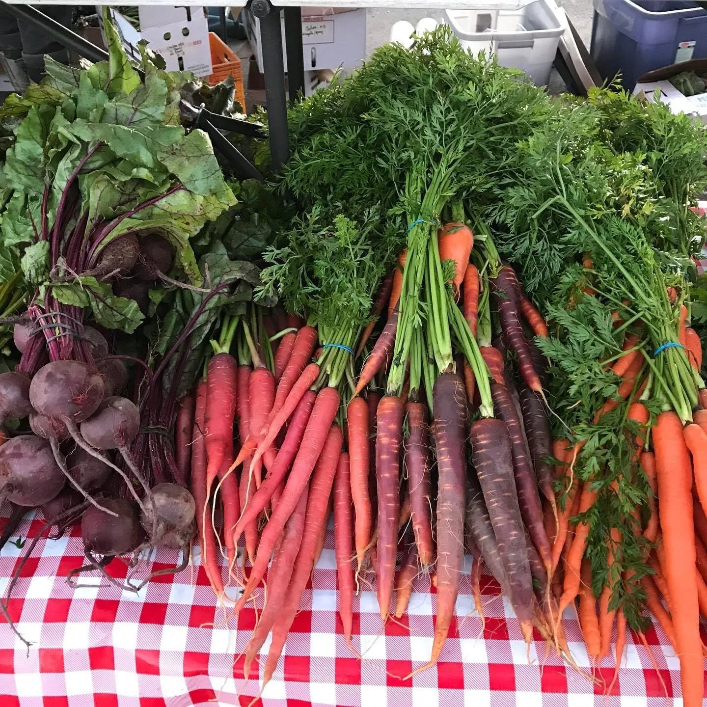 Chelsea Farmers Market — Washtenaw County Farmers Markets