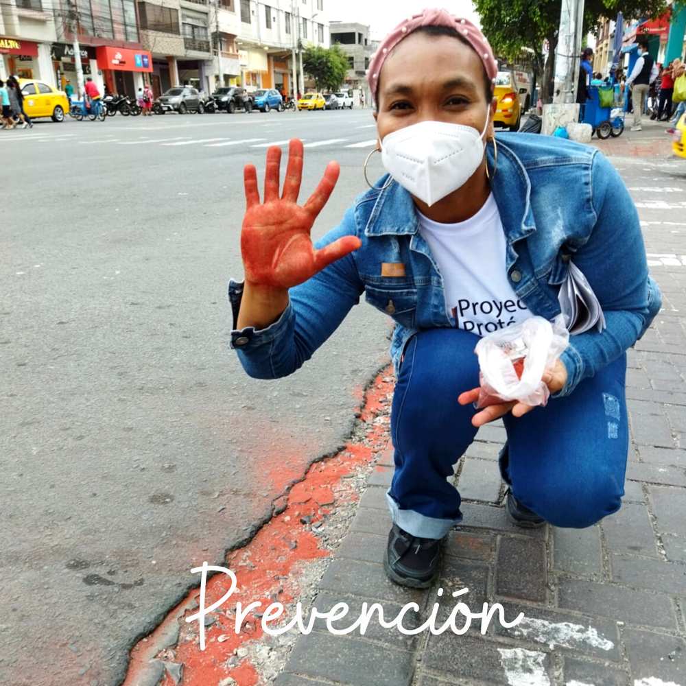 Prevenir — Protect Me Project