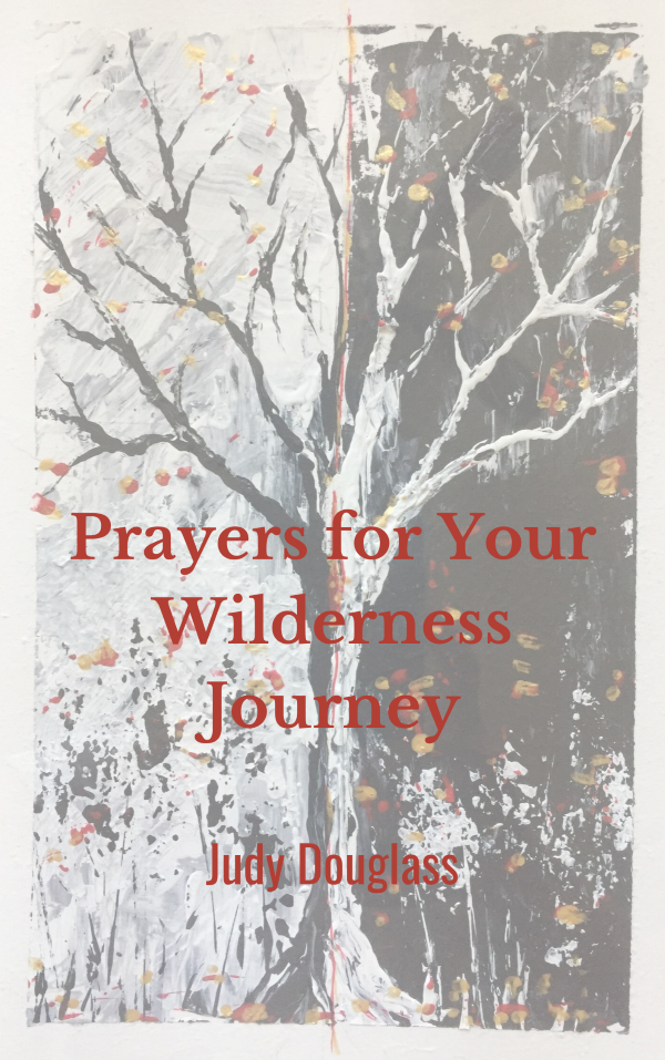 Prayers for Your Wilderness Journey--and a Free Booklet — Judy Douglass