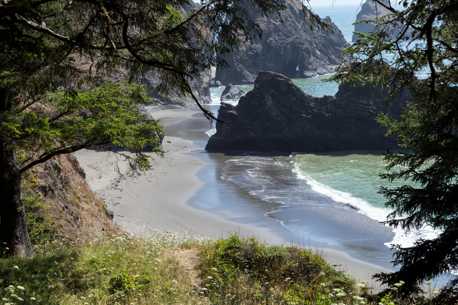 Oregon Coast Trail Foundation