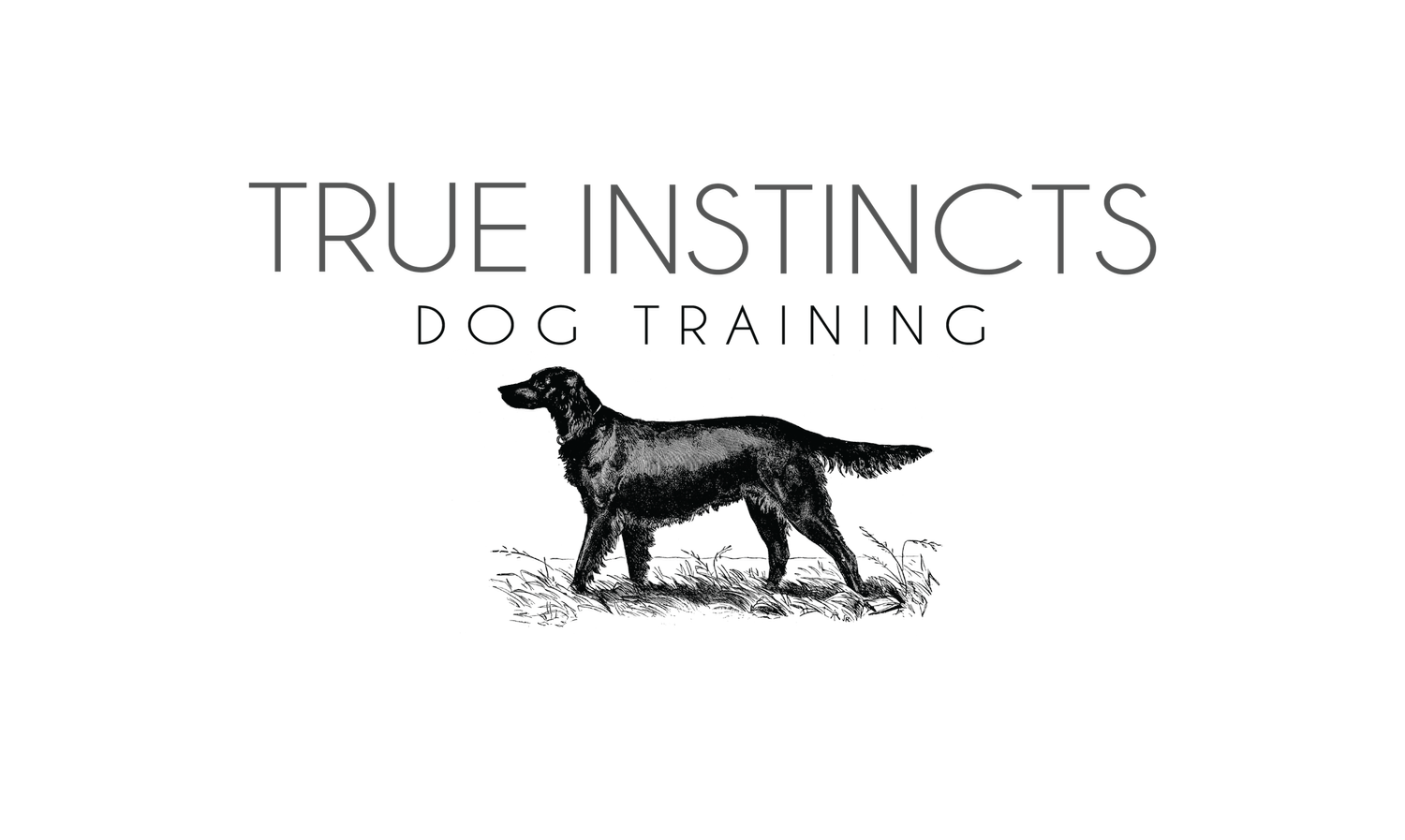 True Instincts Dog Training - Waterdown, On