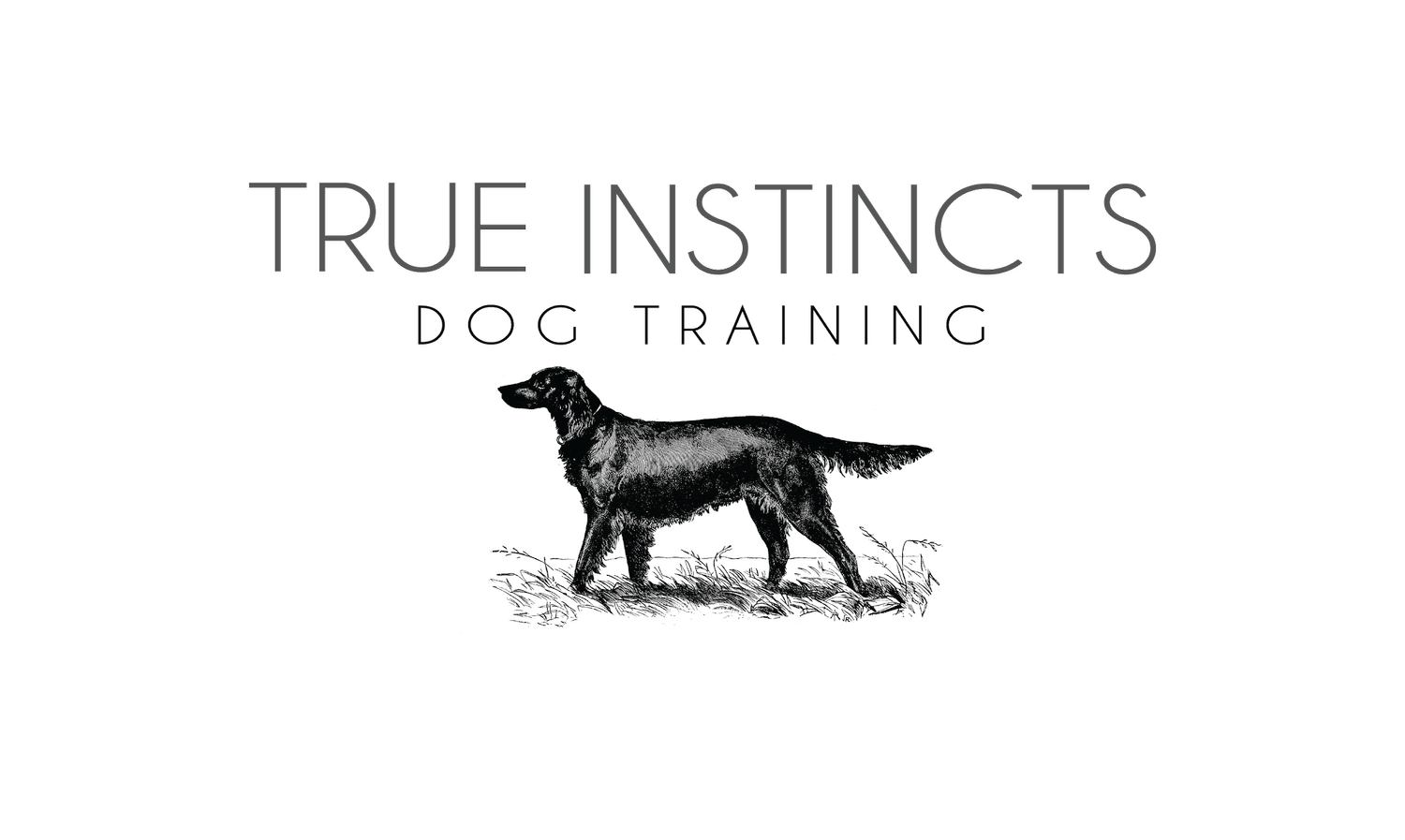 True Instincts Dog Training - Waterdown, On