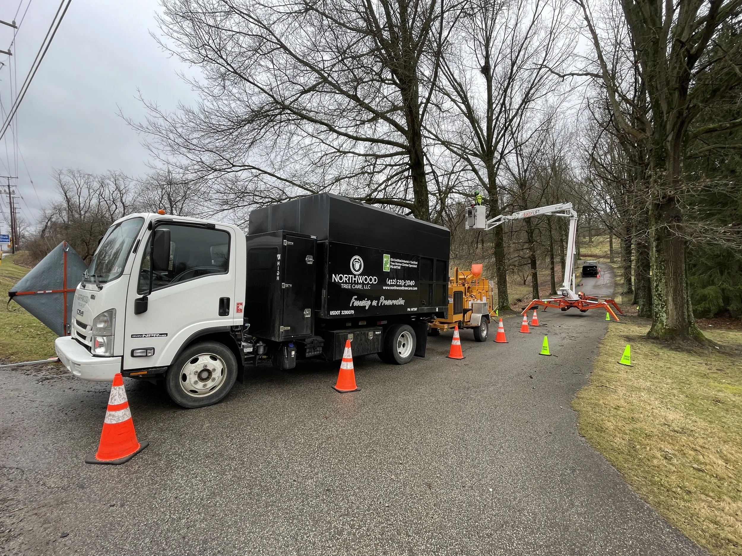 Northwood Tree Care, LLC