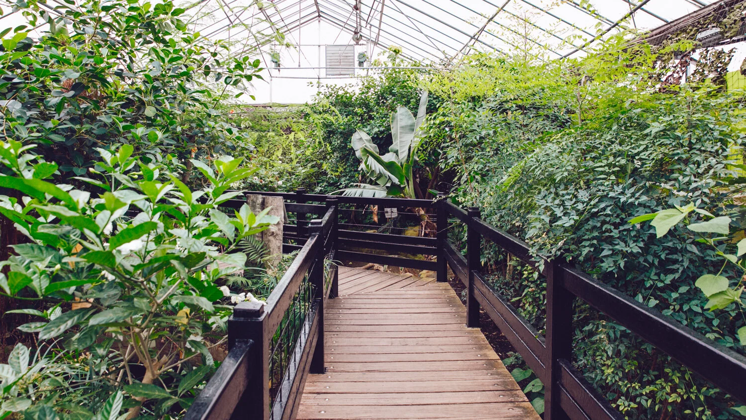 BLOG — TRANSFORMATIONS LEEDS