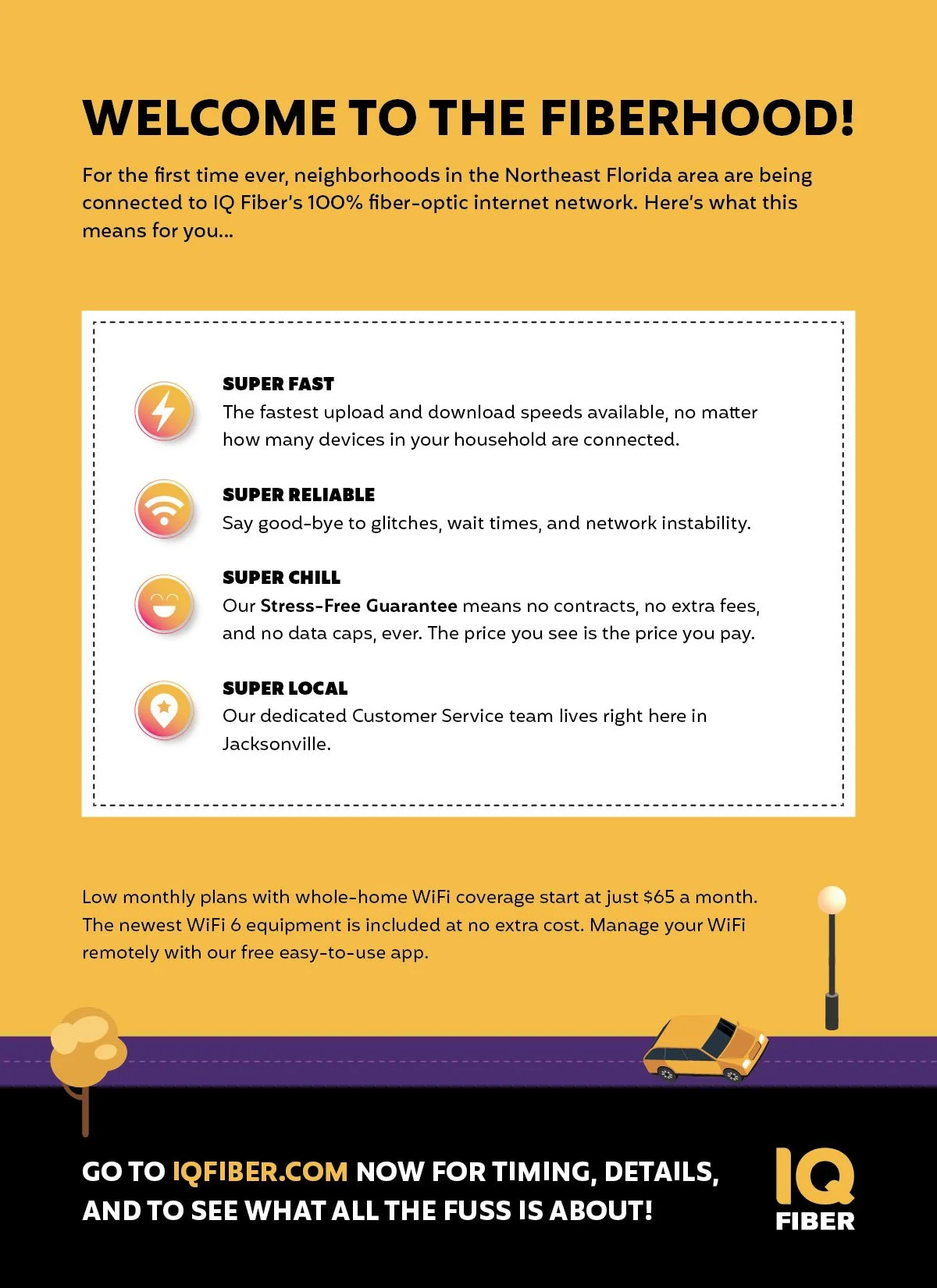 IQ Fiber — Cristine Enoki