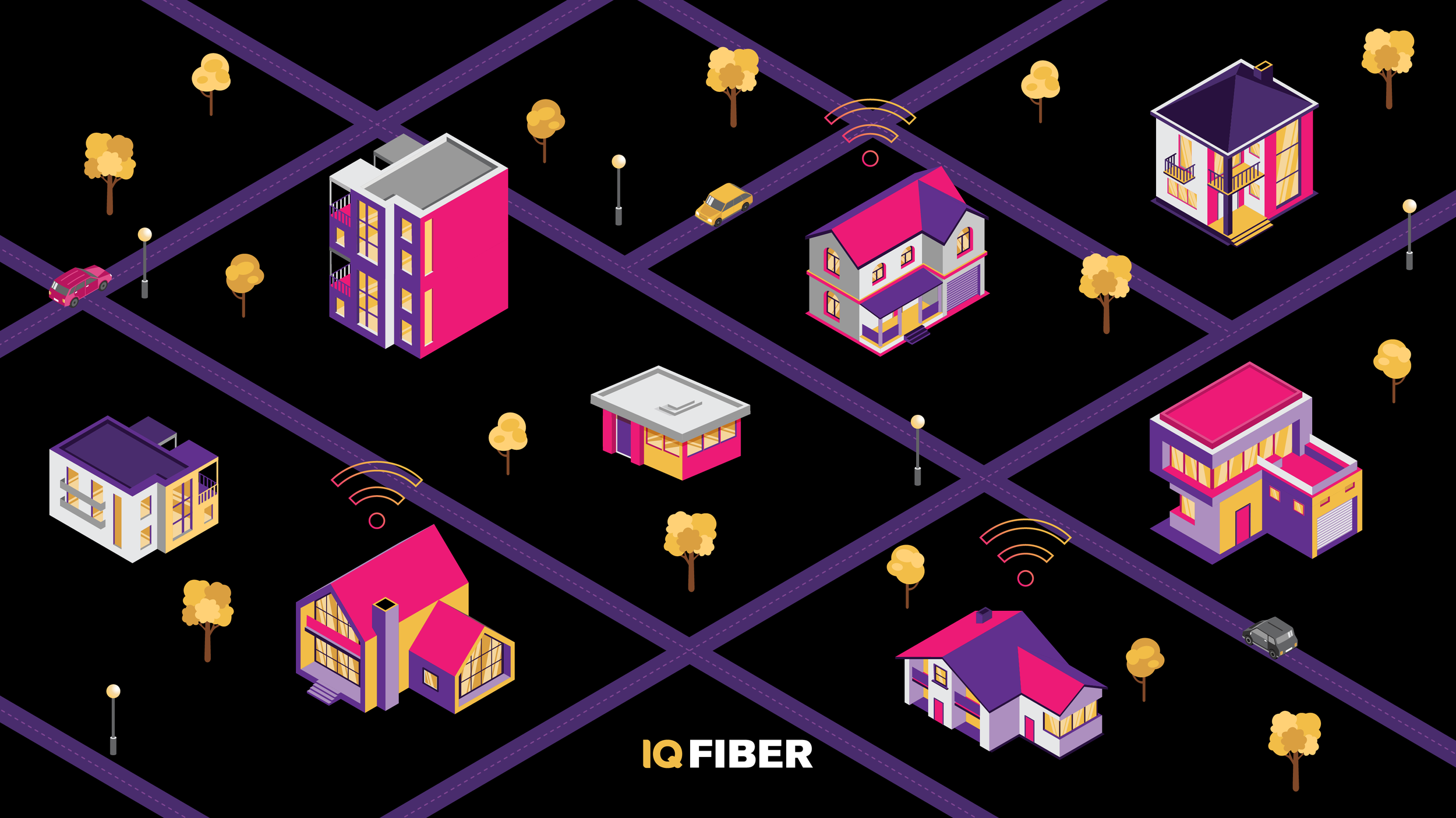 IQ Fiber — Cristine Enoki
