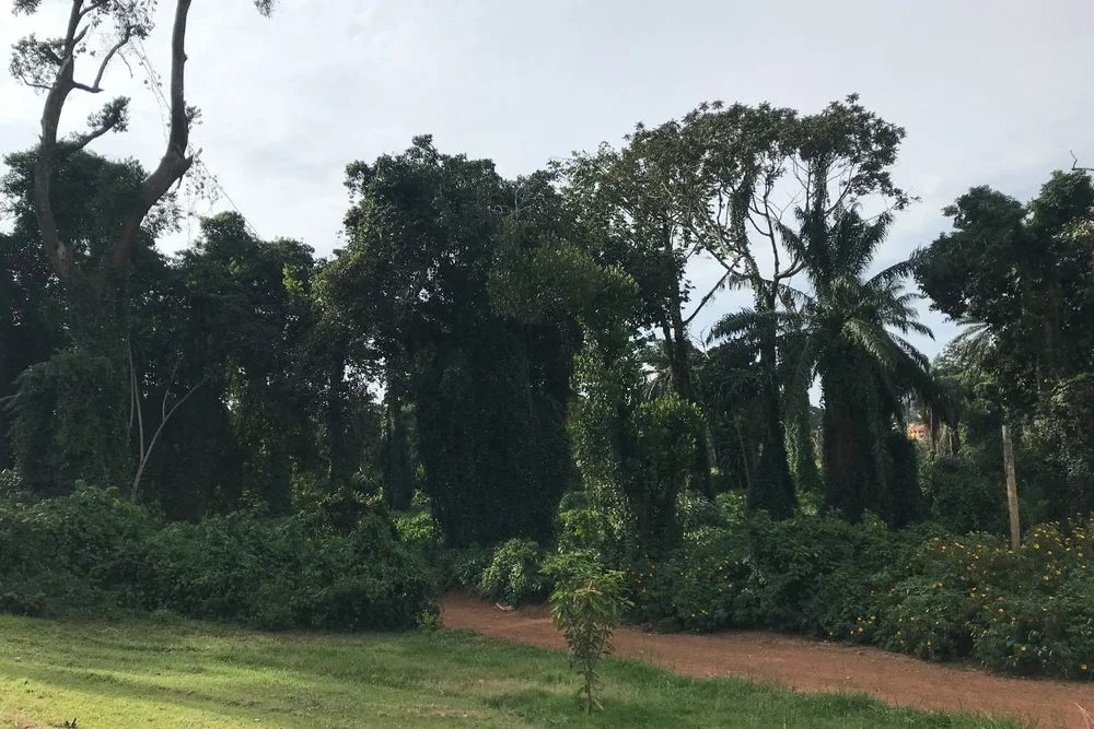 Uganda: a country to embrace with open arms (Part 1) — Travel Matters