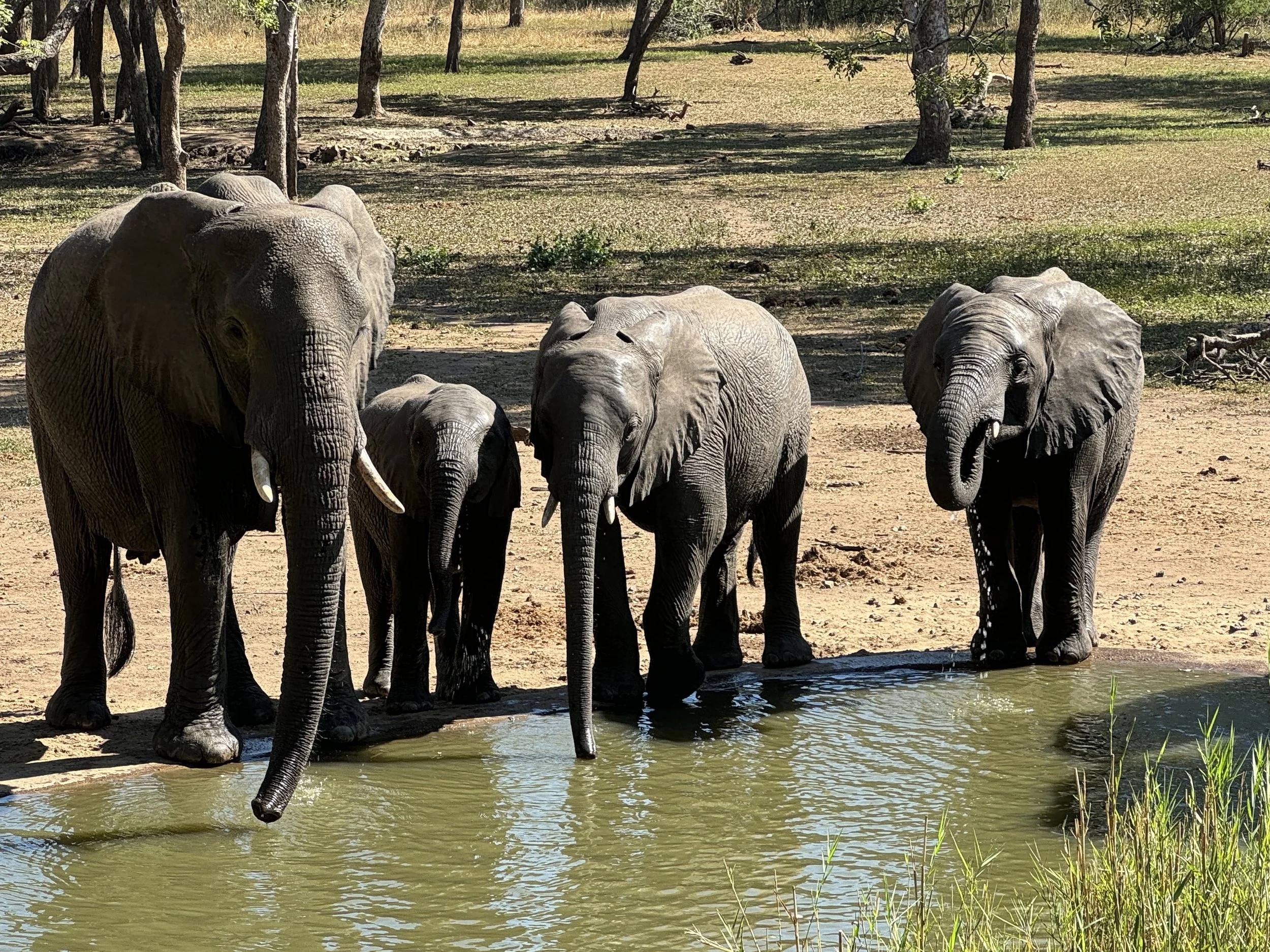 Malawi - the warm heart of Africa — Travel Matters