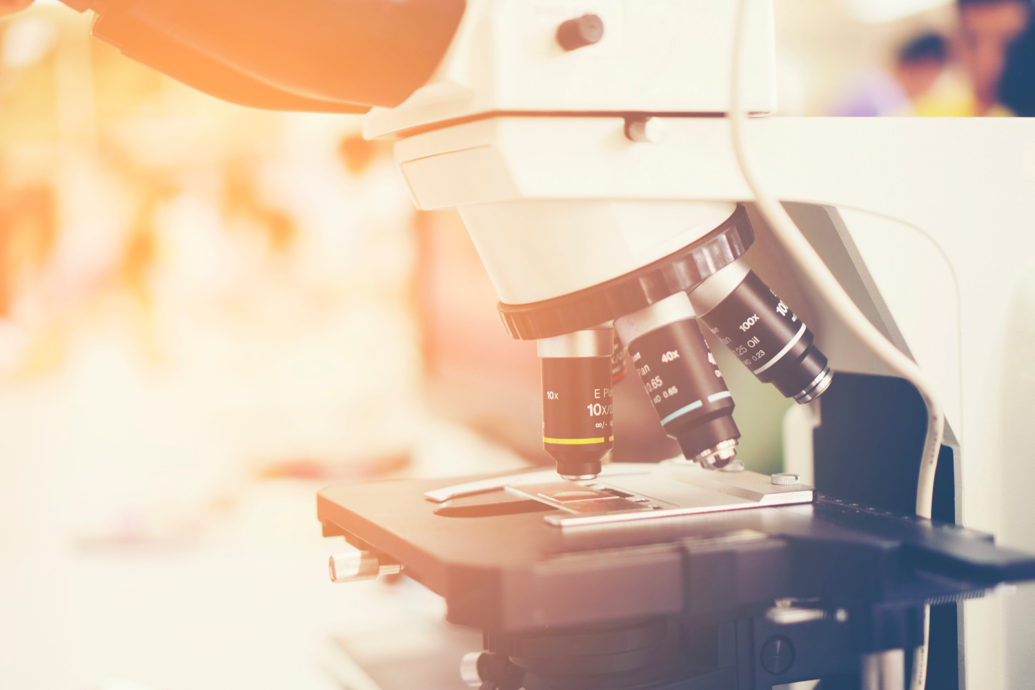 Explore laboratory careers — LTT | Empowering people to perform