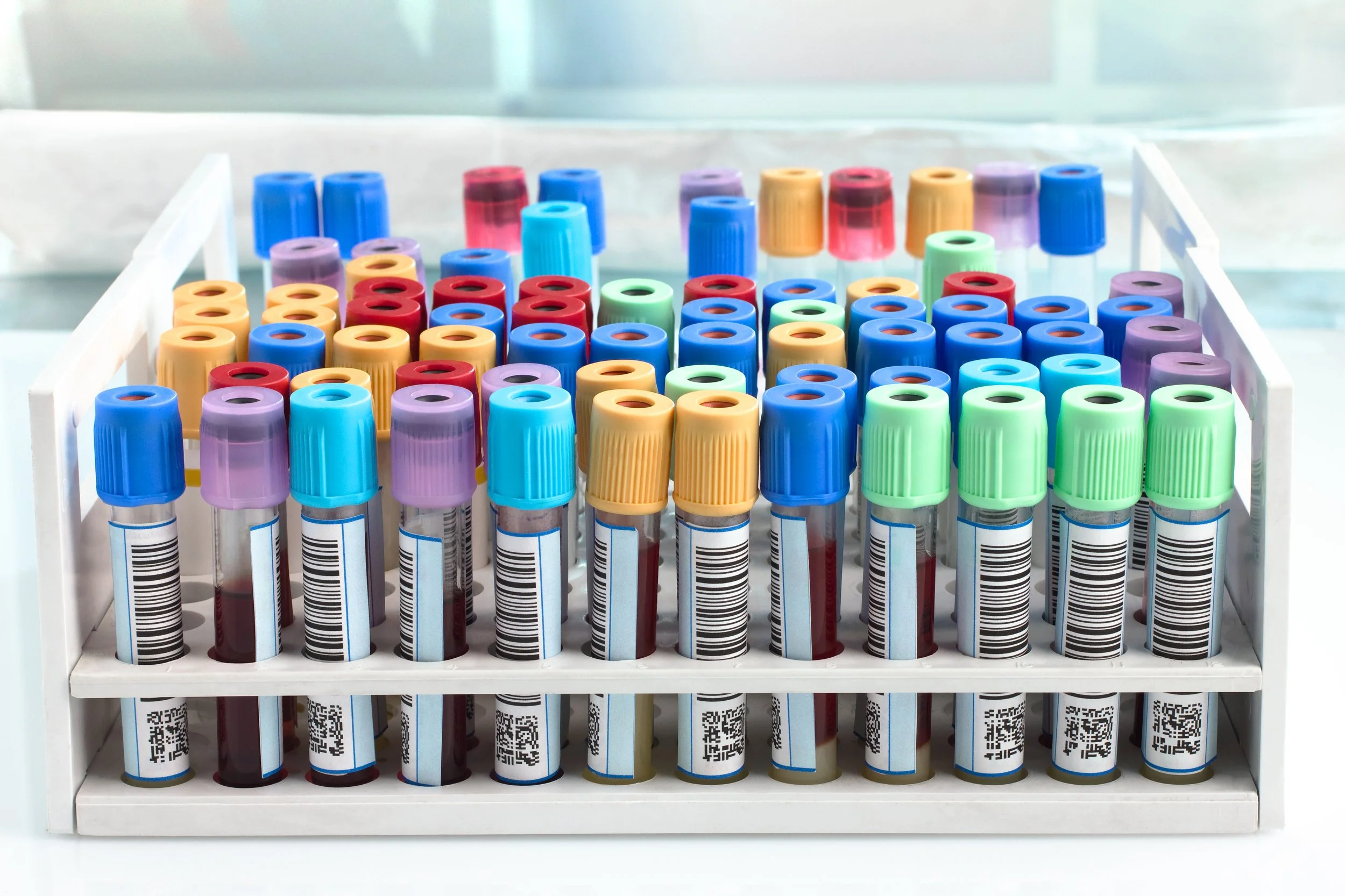 Sydney Blood Collection Training | HLT37215 Certificate III in ...