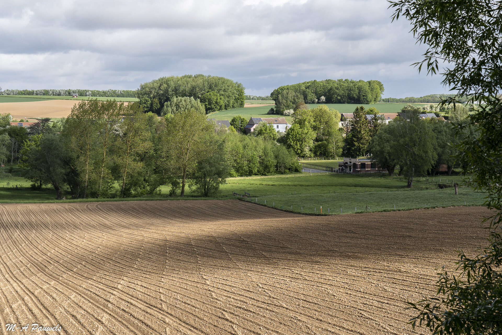 De Loupoigne à Houtain-le-Val — Marie-Anne Photography