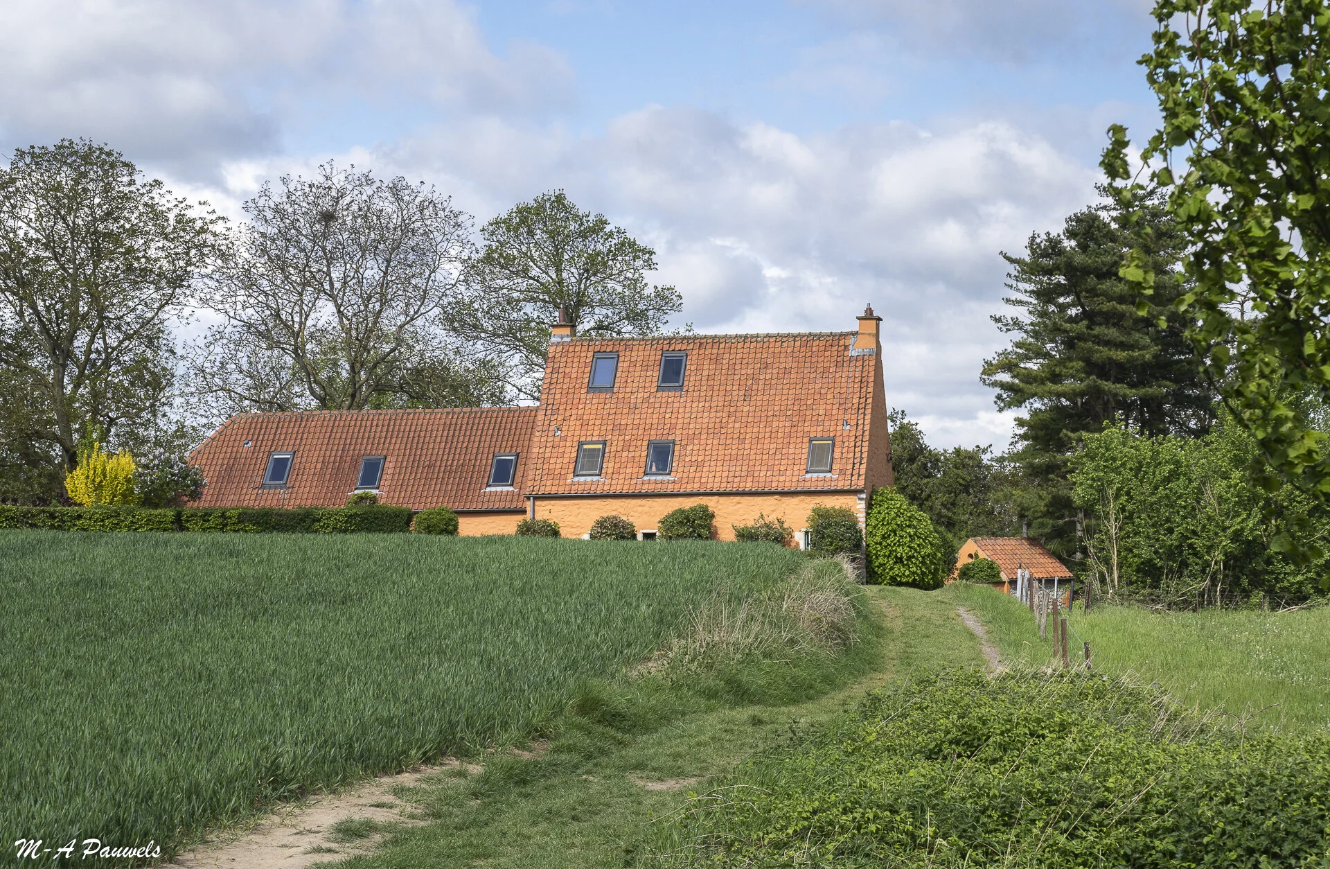 De Loupoigne à Houtain-le-Val — Marie-Anne Photography