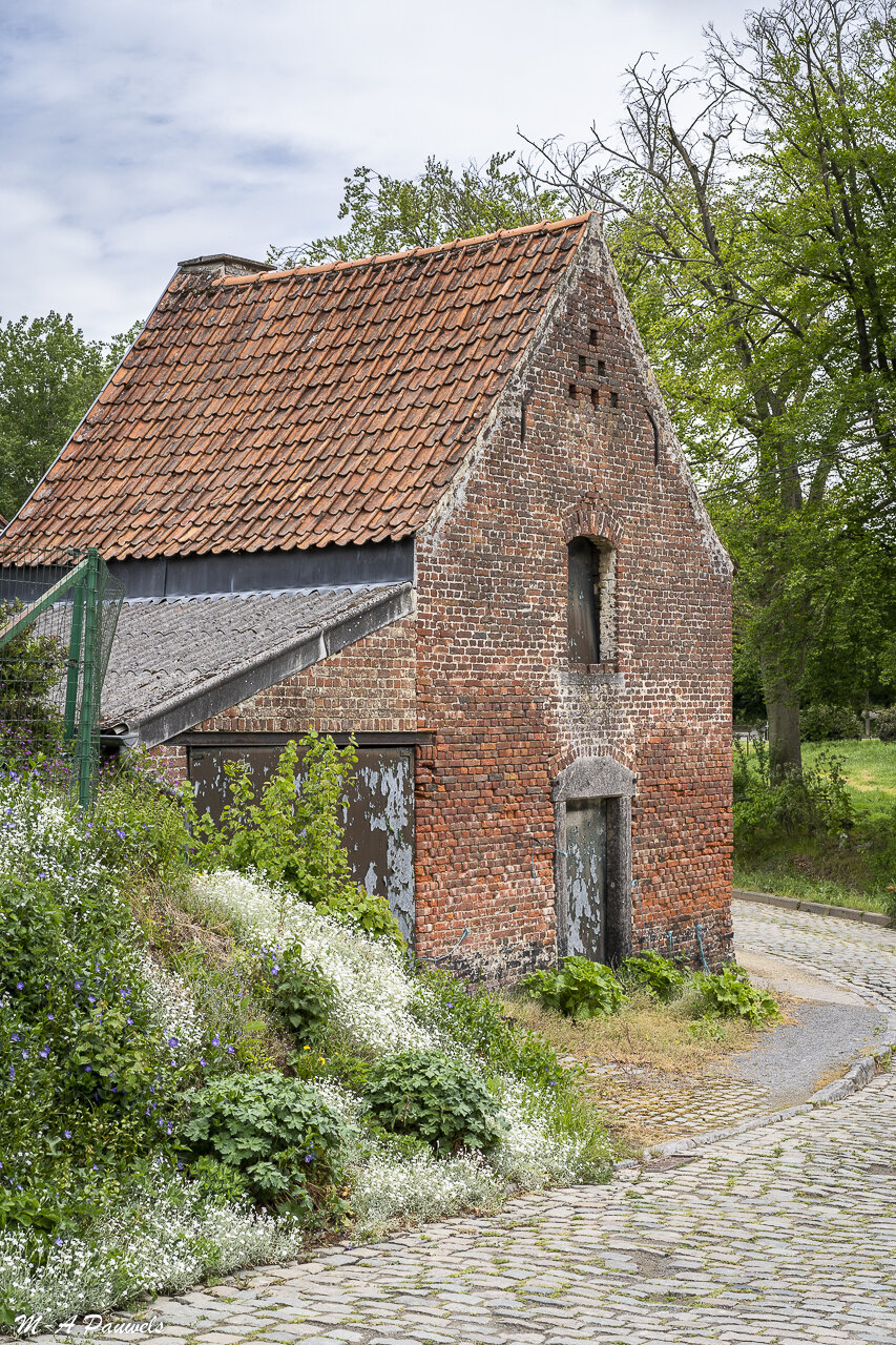 De Loupoigne à Houtain-le-Val — Marie-Anne Photography