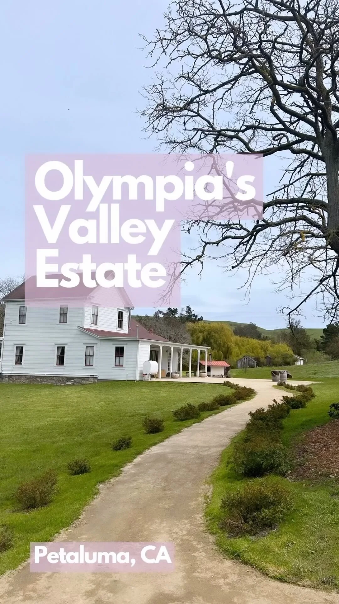 Testimonials — TLC Events