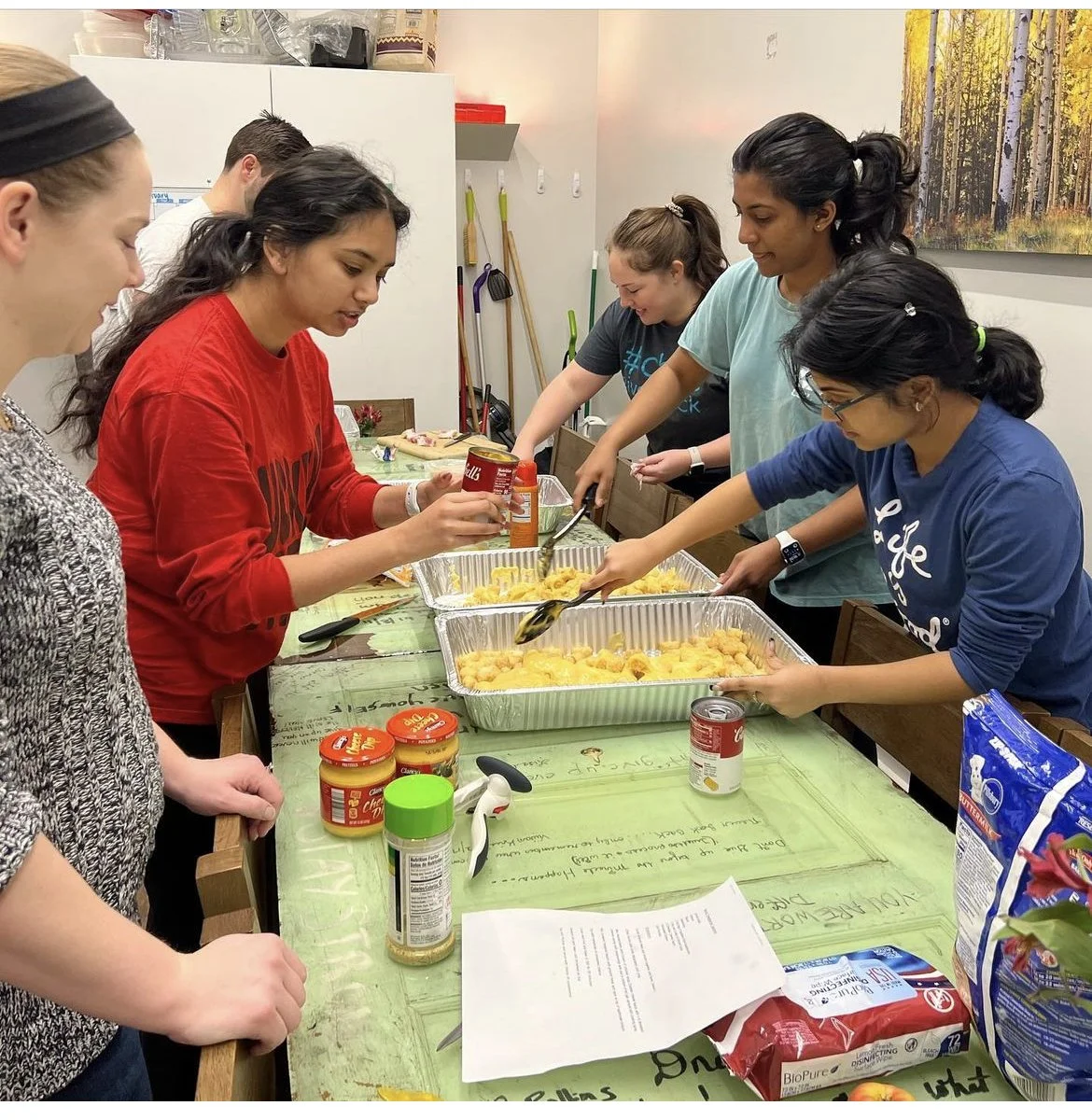 Volunteer — Sanctuary Night