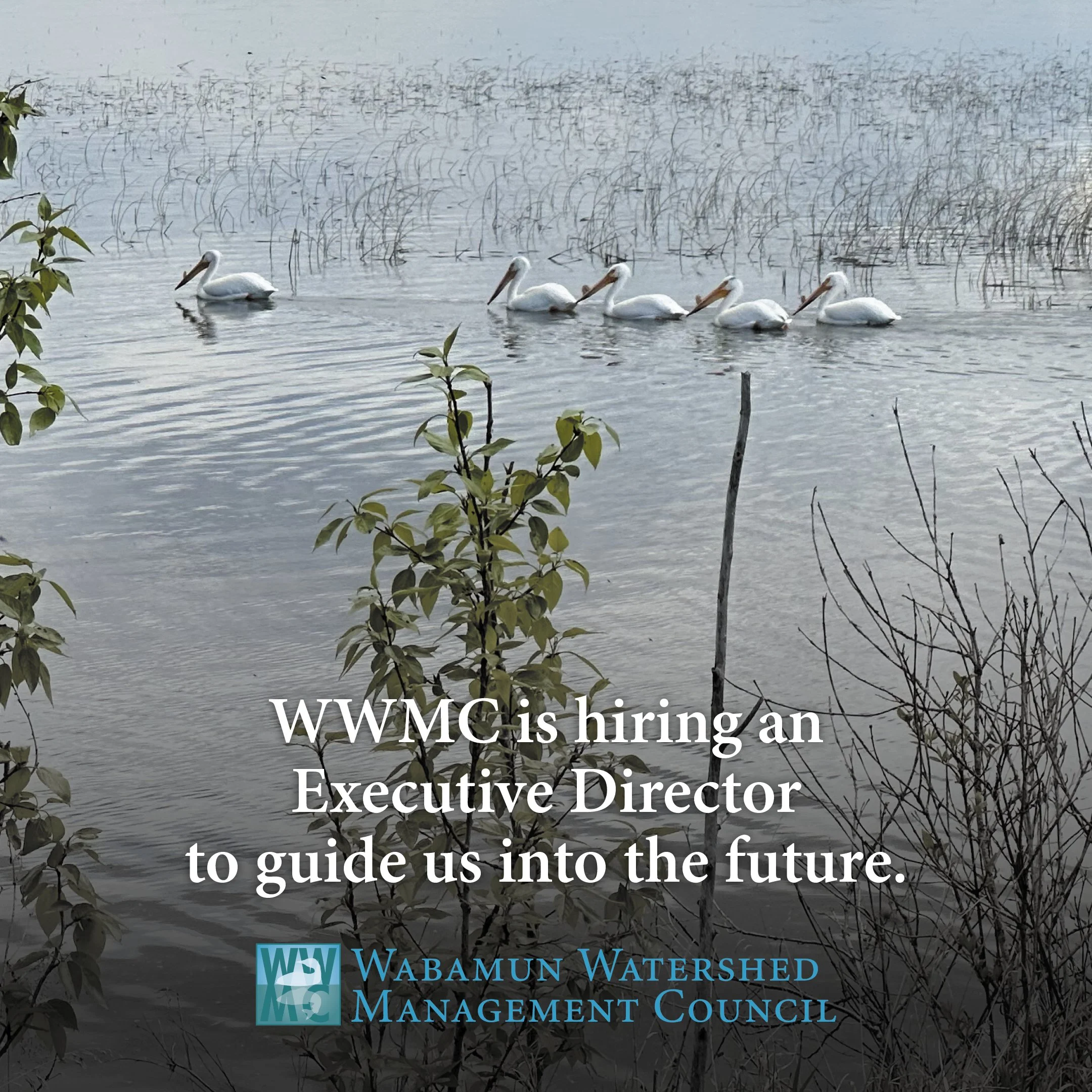 Wabamun Watershed Management Council