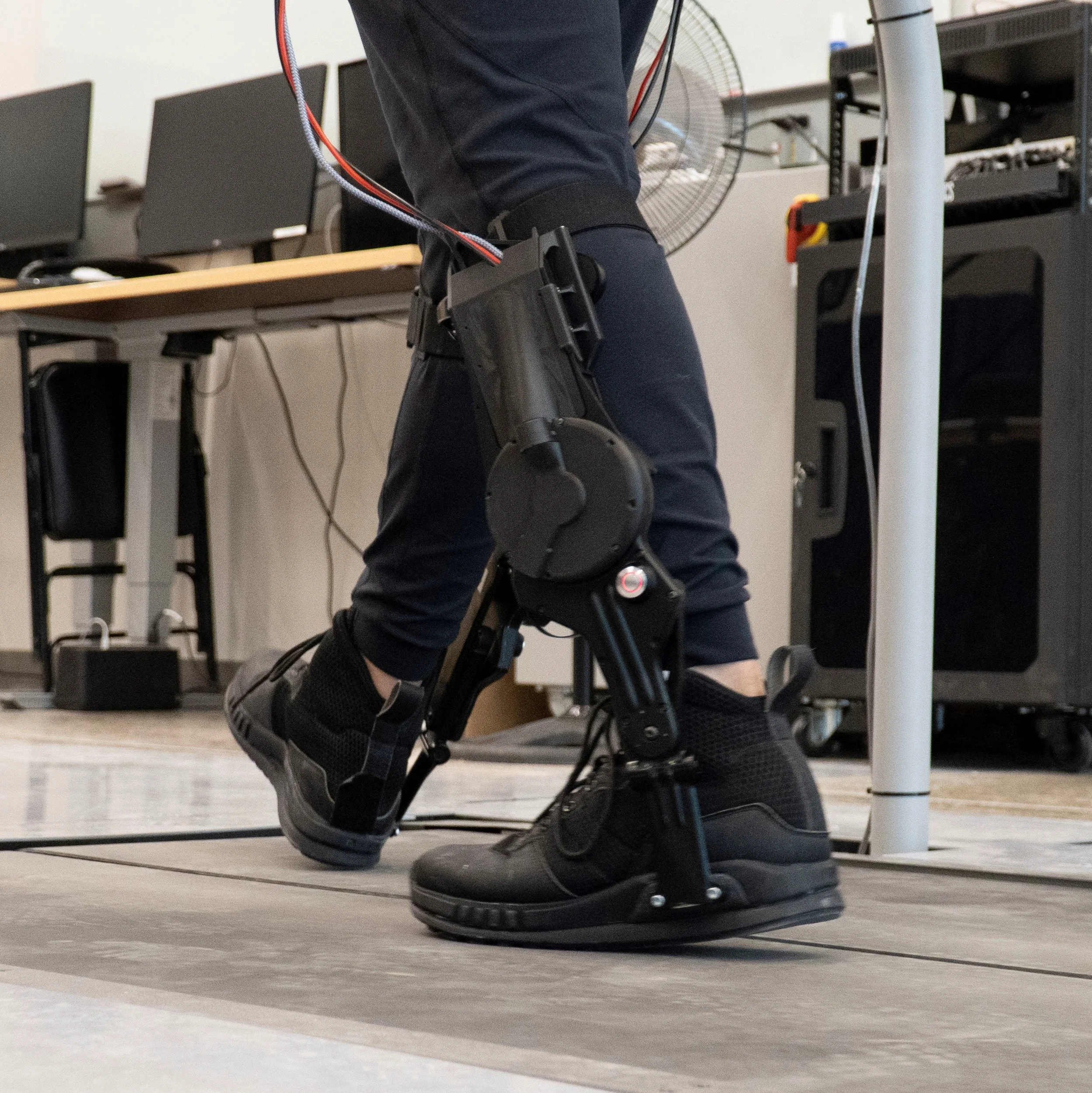 Research — INGRAHAM LAB